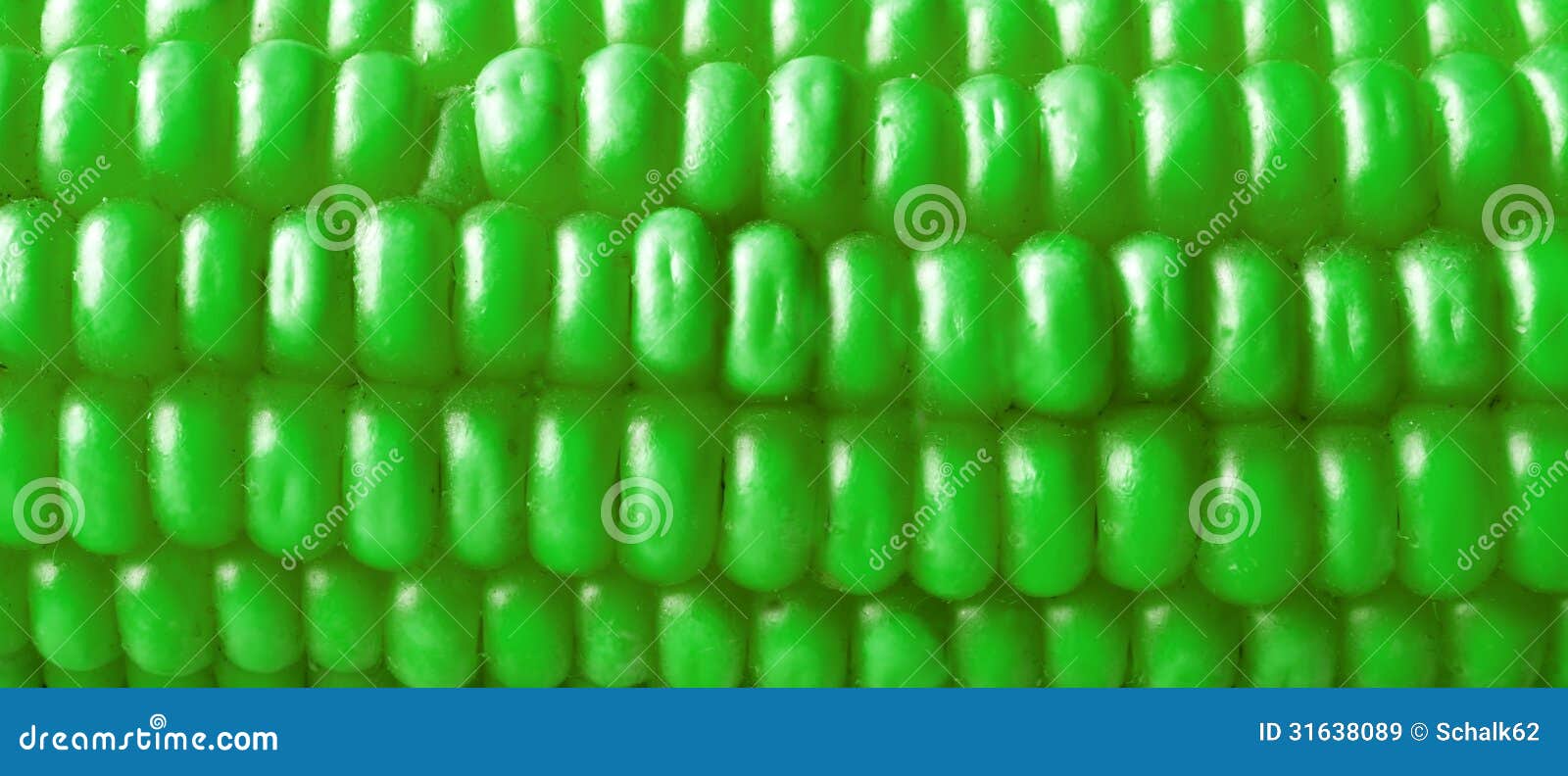 Green mais stock image. Image of structure, farming, surface - 31638089