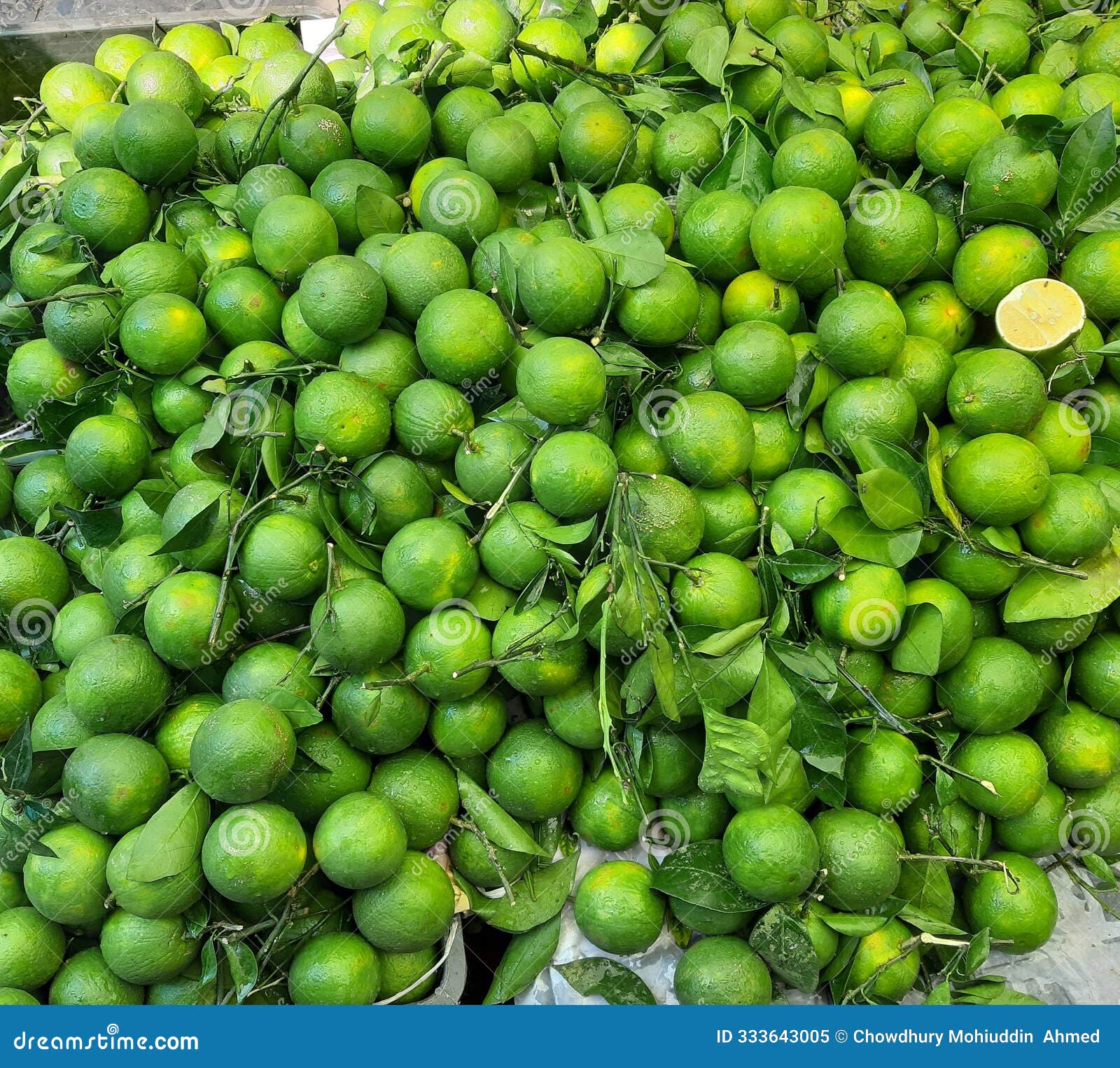 Green Malta Fruit Very Testy Stock Image - Image of malta, green: 333643005
