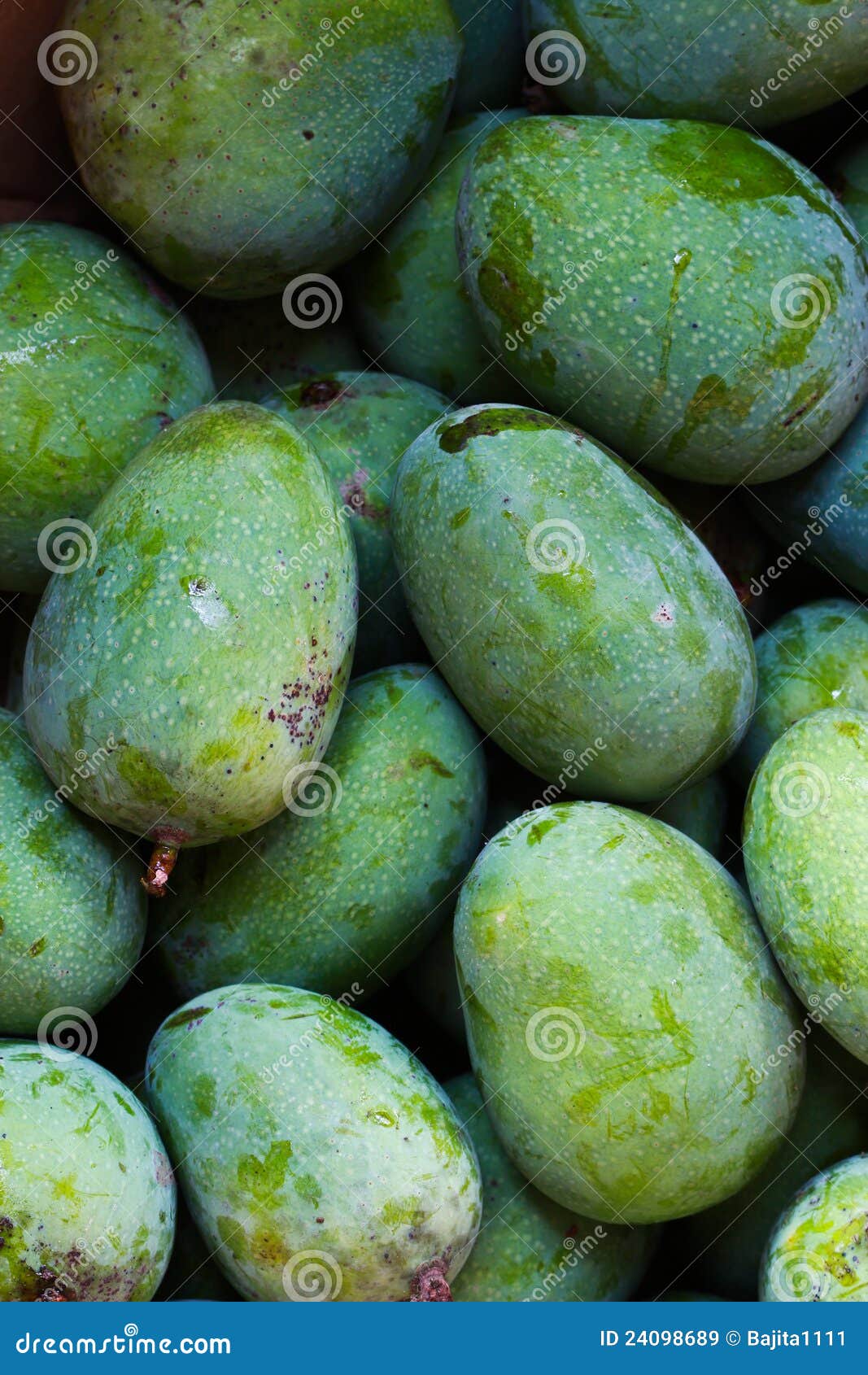 Green mango background stock image. Image of organic - 24098689