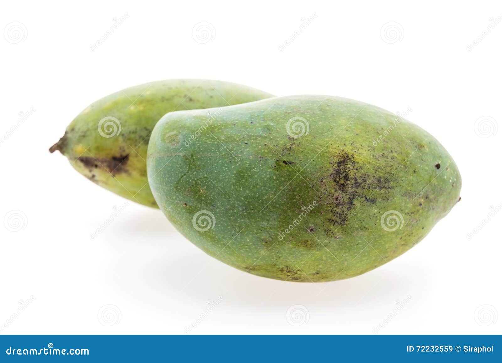 Green mango fruit stock image. Image of snack, healthy - 72232559