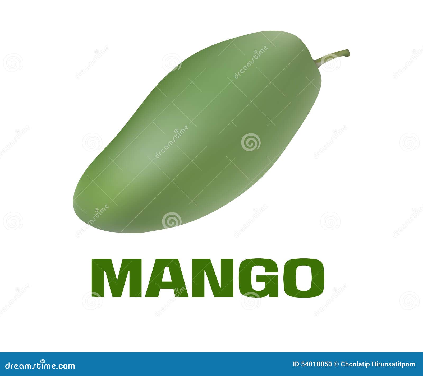 Green mango stock vector. Illustration of fruity, bright - 54018850