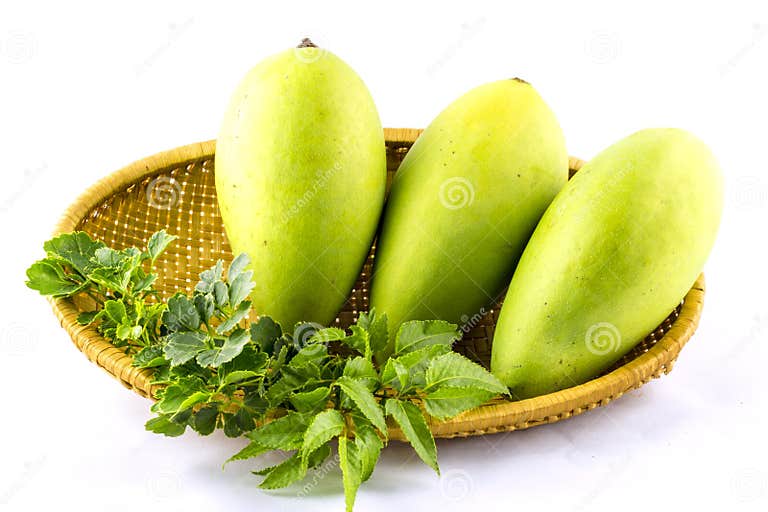Green mango stock image. Image of white, fresh, background - 135292397