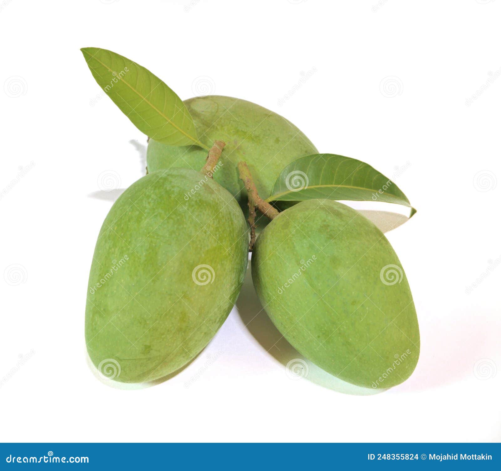 Green Mango Isolated on White Background Stock Photo - Image of ...