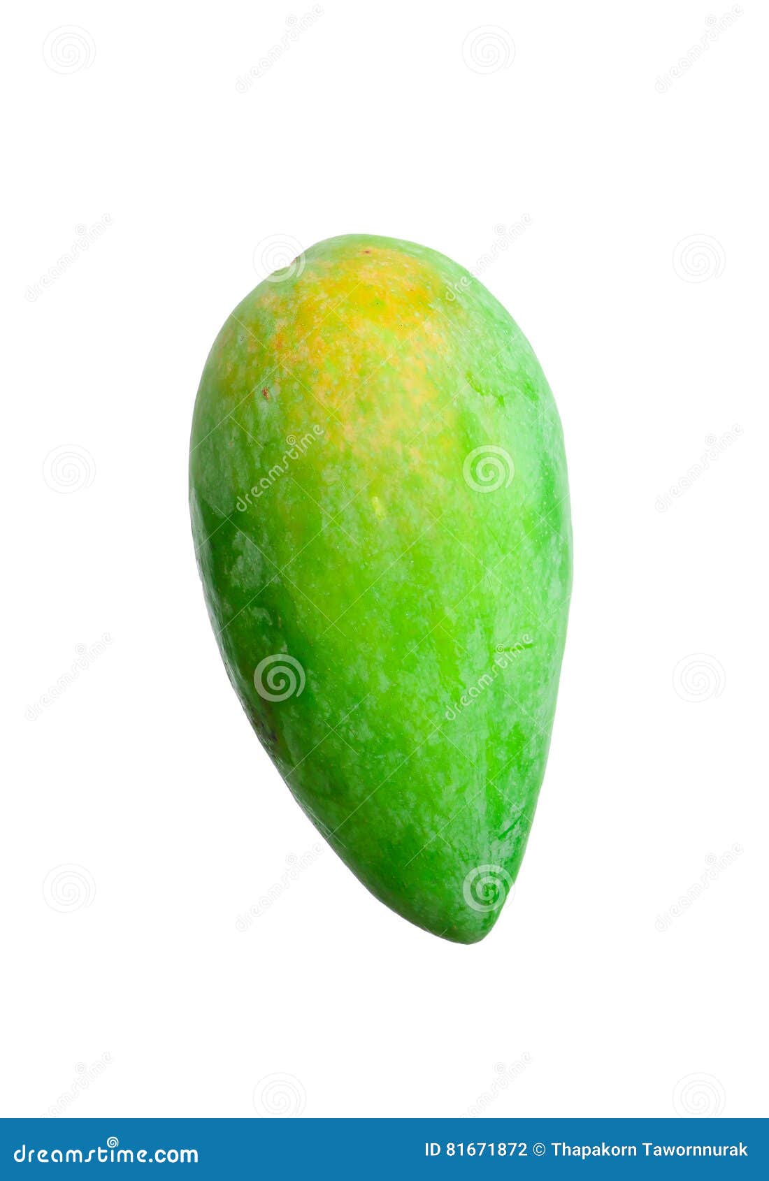 Green mango stock photo. Image of exotic, freshness, ripe - 81671872