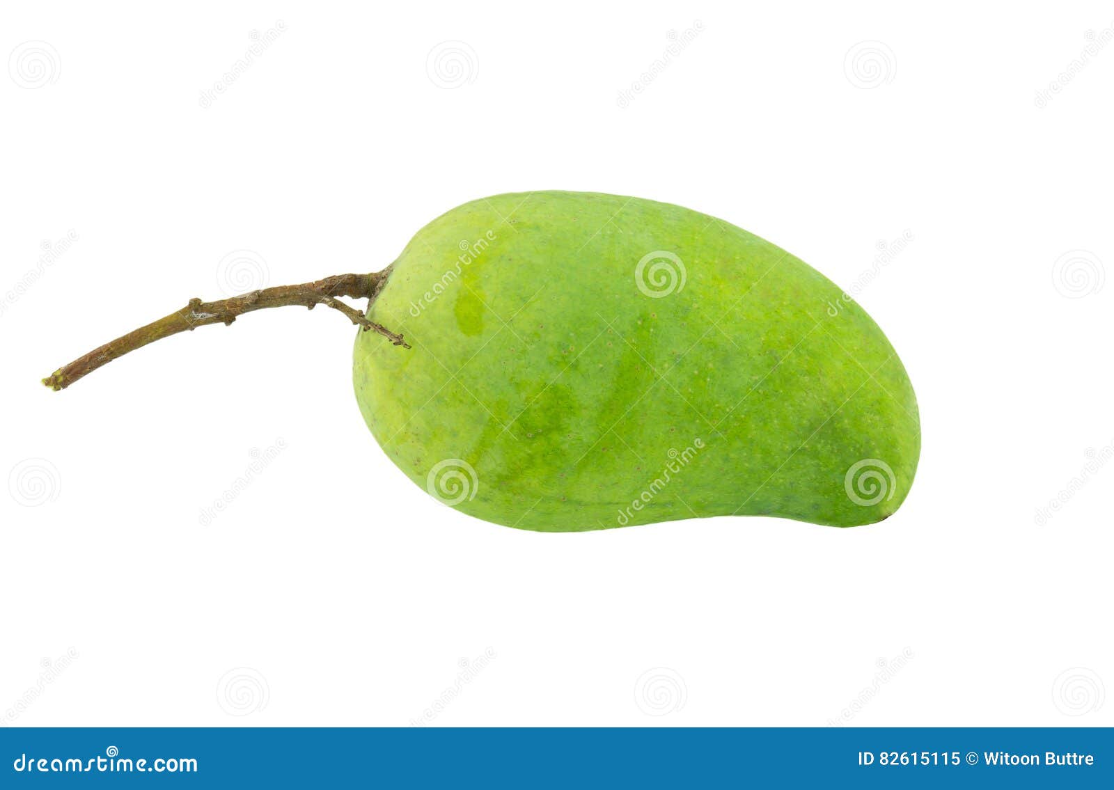 Green mango isolated stock image. Image of organic, isolated - 82615115