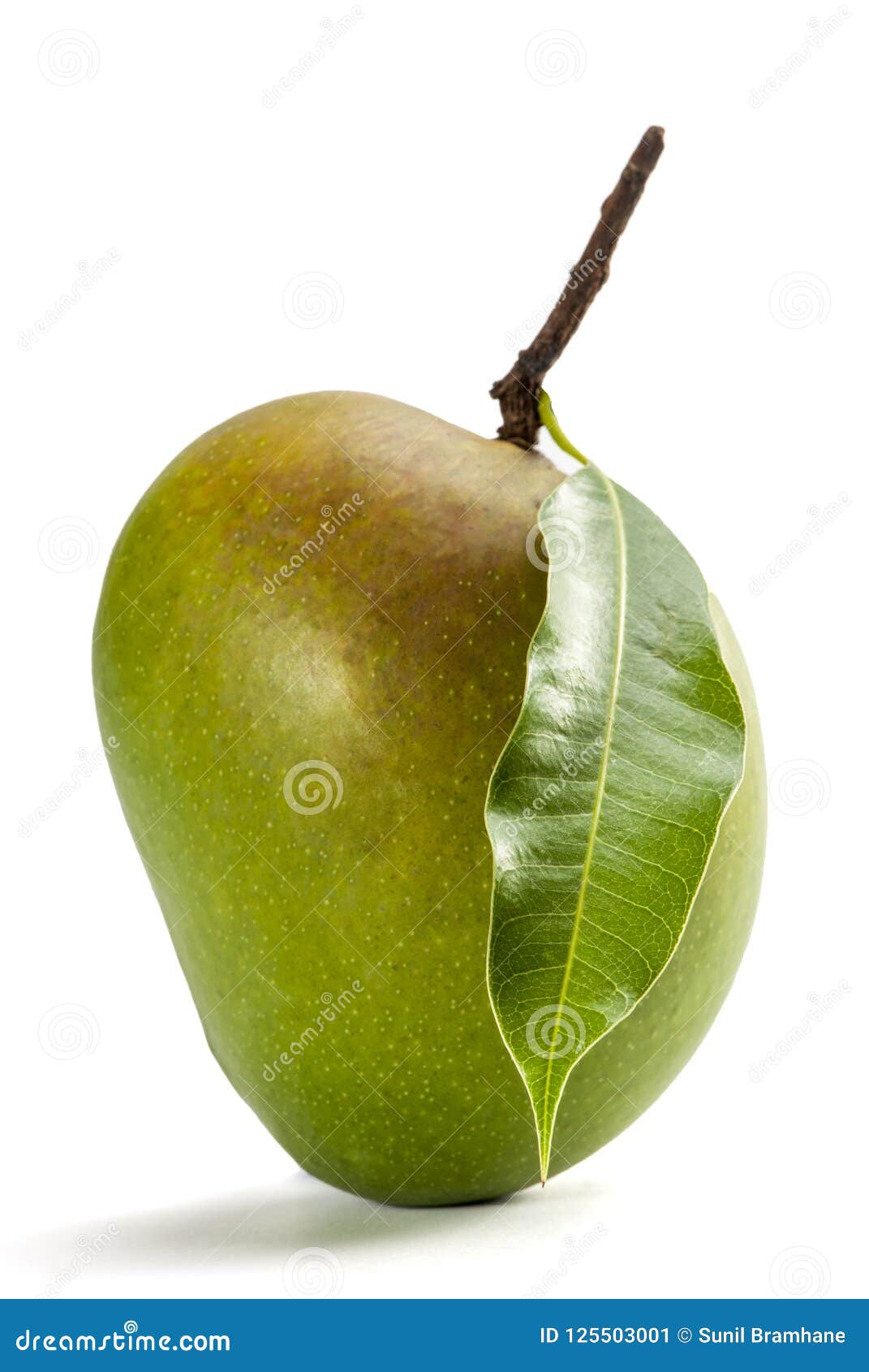 Green Mango Isolated on White Background Stock Image - Image of nature ...