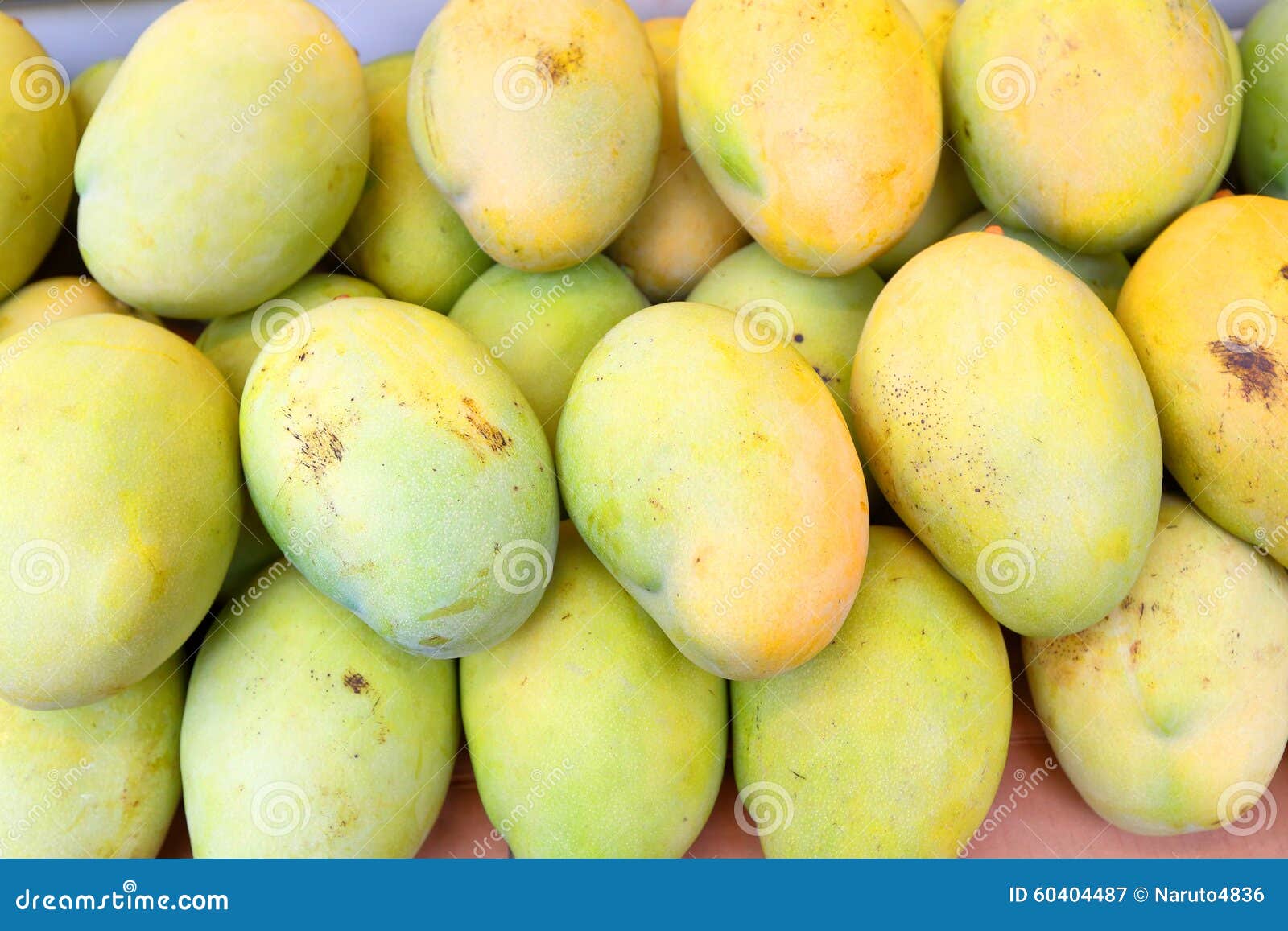 Green mango stock image. Image of healthy, mango, asian - 60404487
