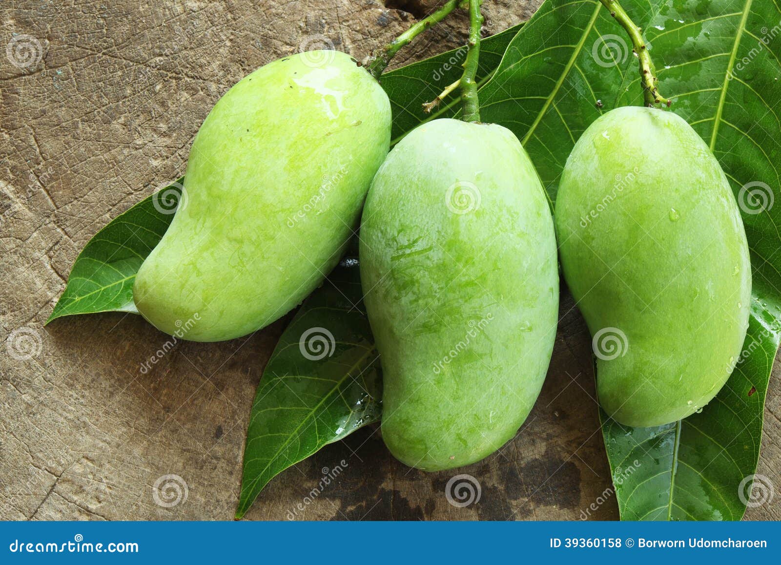 Green mango stock photo. Image of healthy, background - 39360158