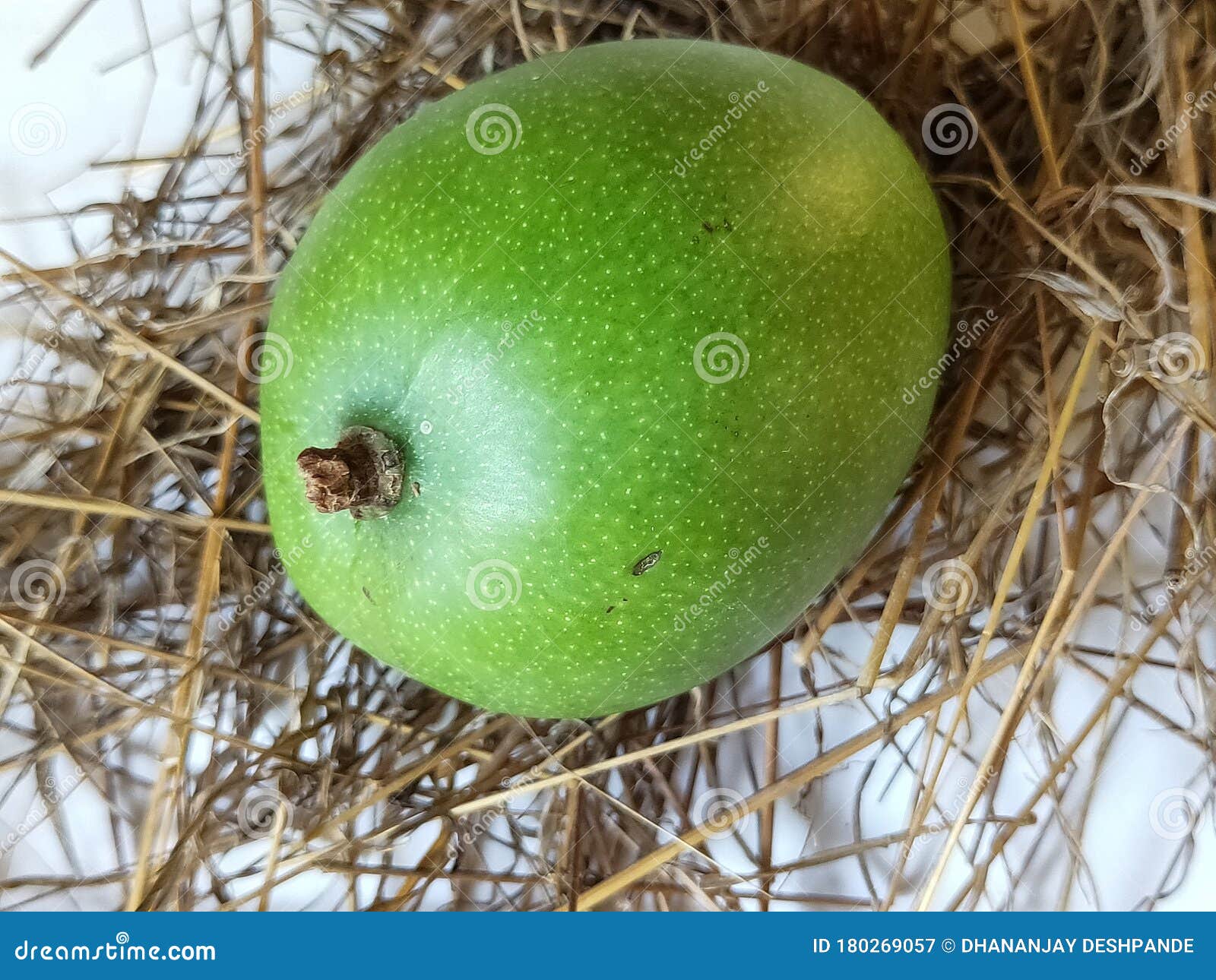 Green Mango on White Background. Mango on Plain Background. Green Mango ...