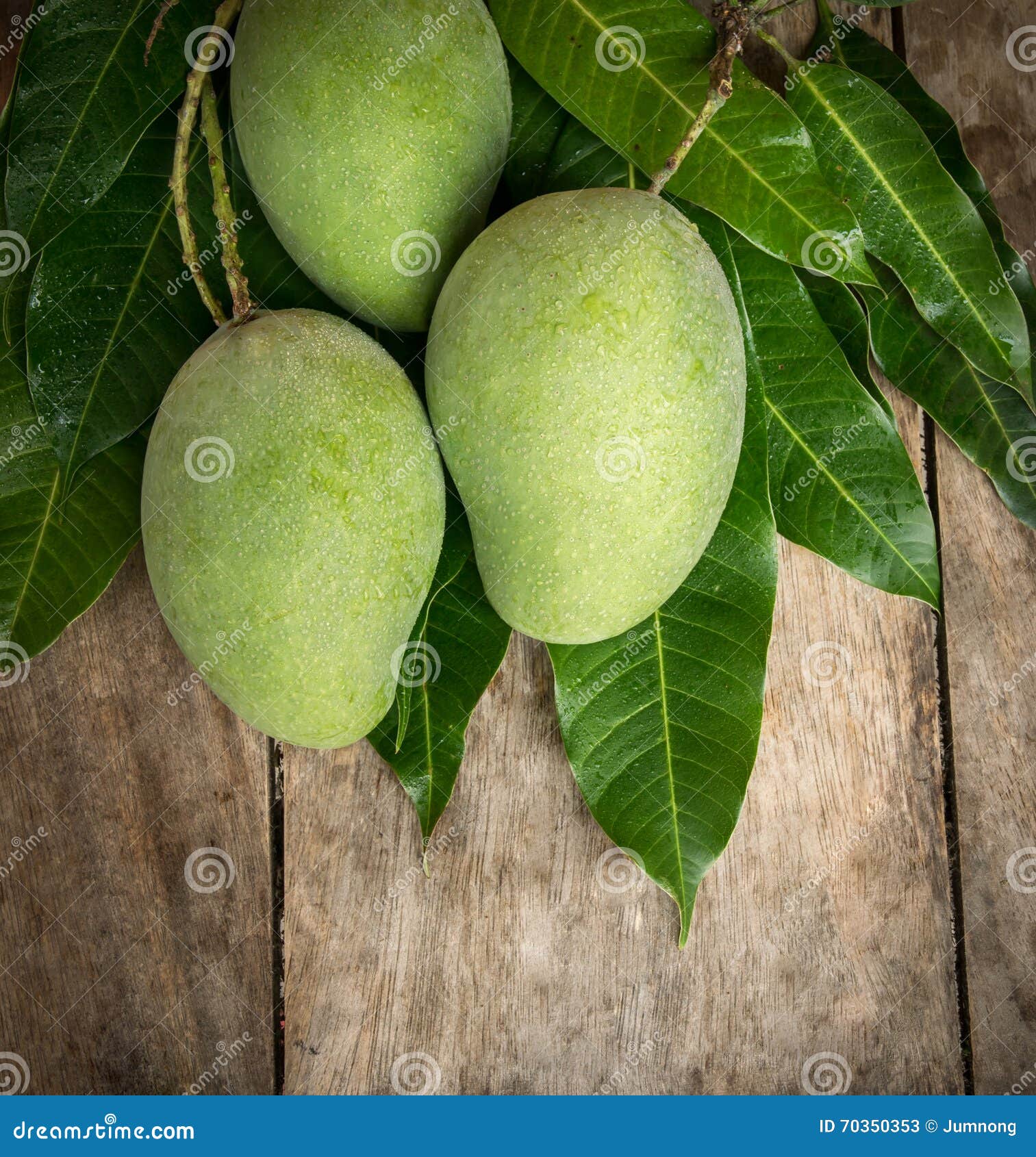 Green Mango on Wood Background Stock Image - Image of agriculture, diet ...