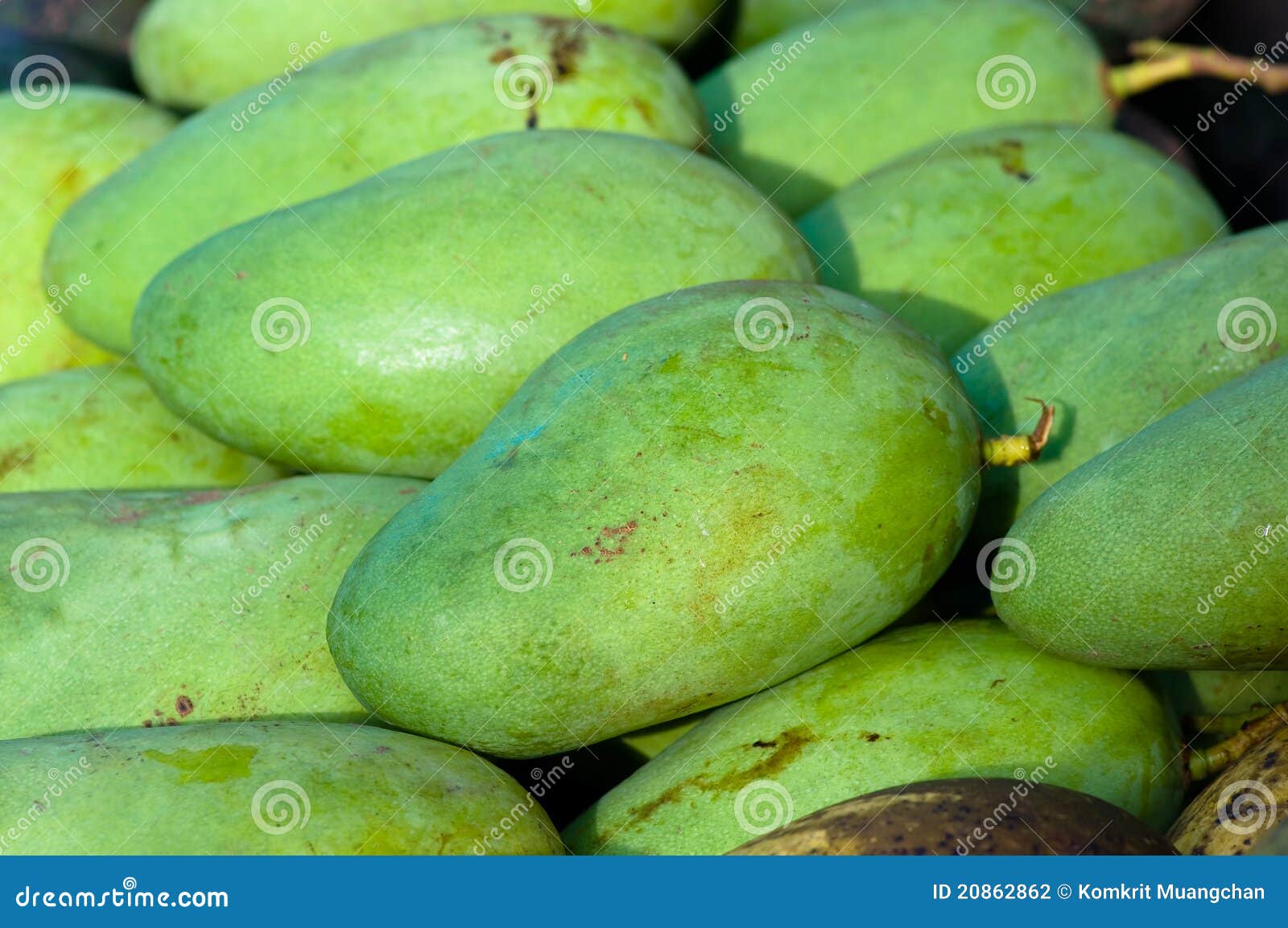 Green mangoes stock photo. Image of asia, clipping, fresh - 20862862