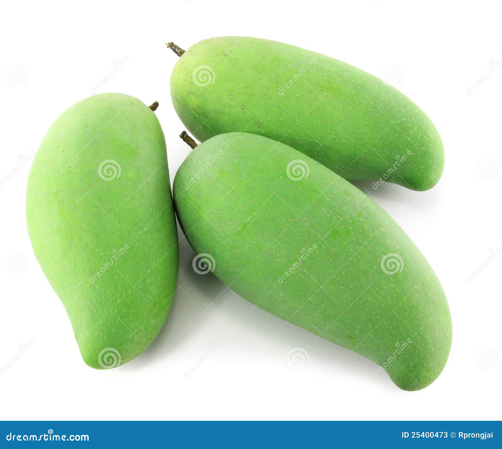 Green Mangoes On The Mango Tree Stock Photography | CartoonDealer.com ...