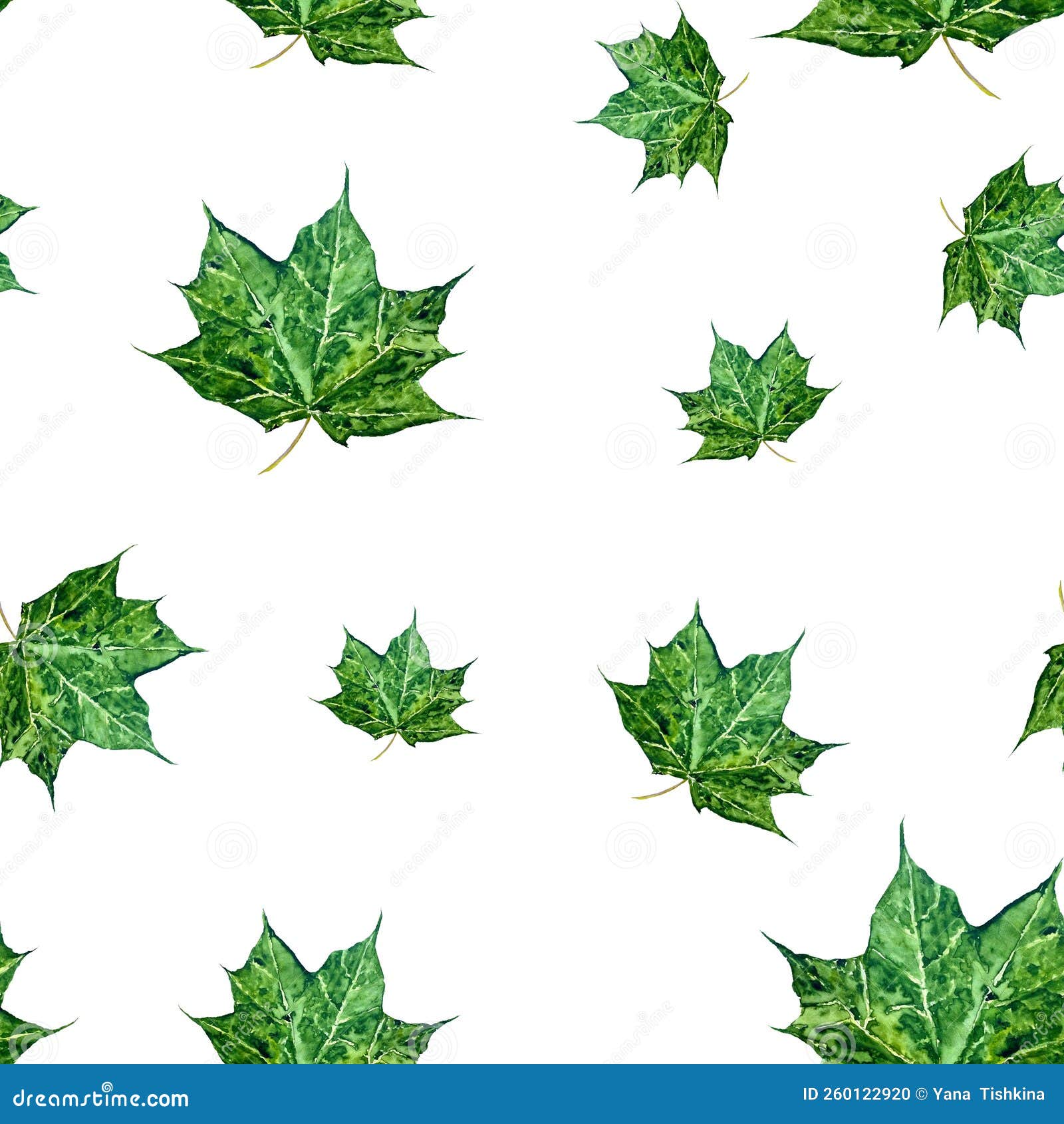 Green Maple Leaf Seamless Pattern Large Size Stock Illustration - Illustration of leaves, leafs ...