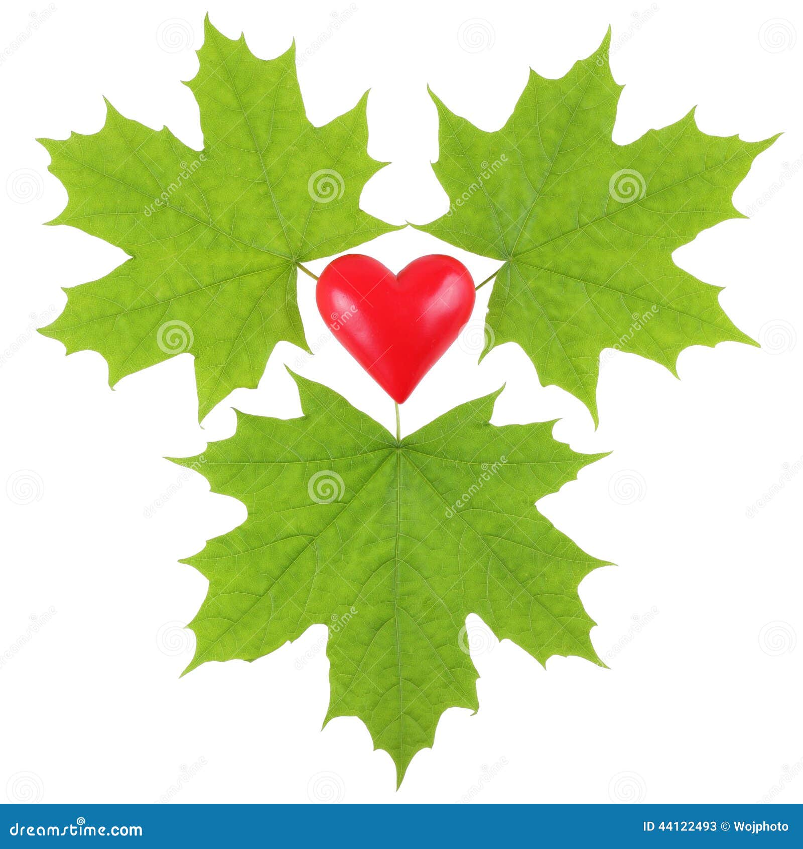 Green Maple Leaves Surrounding a Red Plastic Heart Stock Image - Image ...