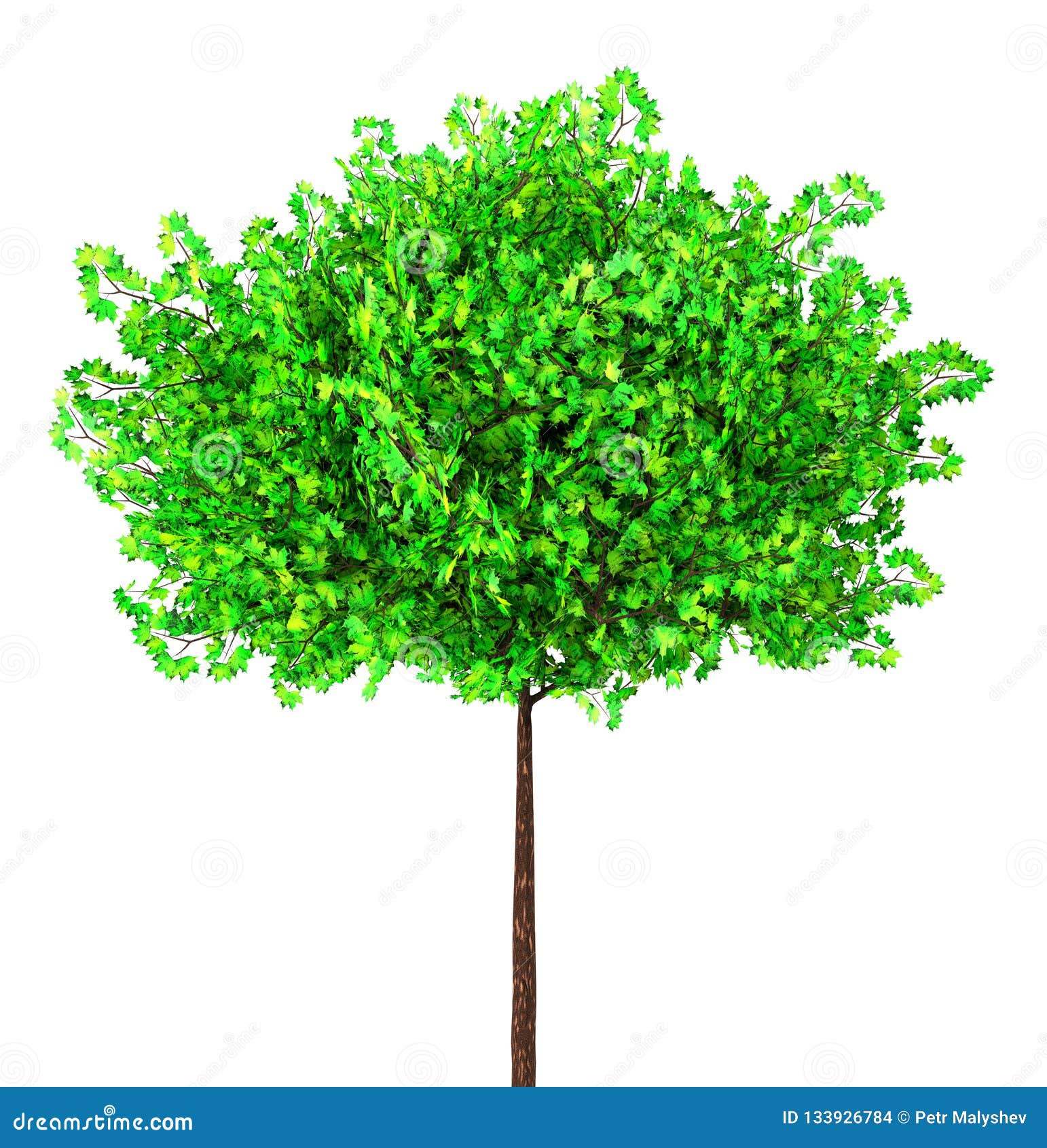 Green Maple Tree, 3d Illustration Stock Illustration - Illustration of ...