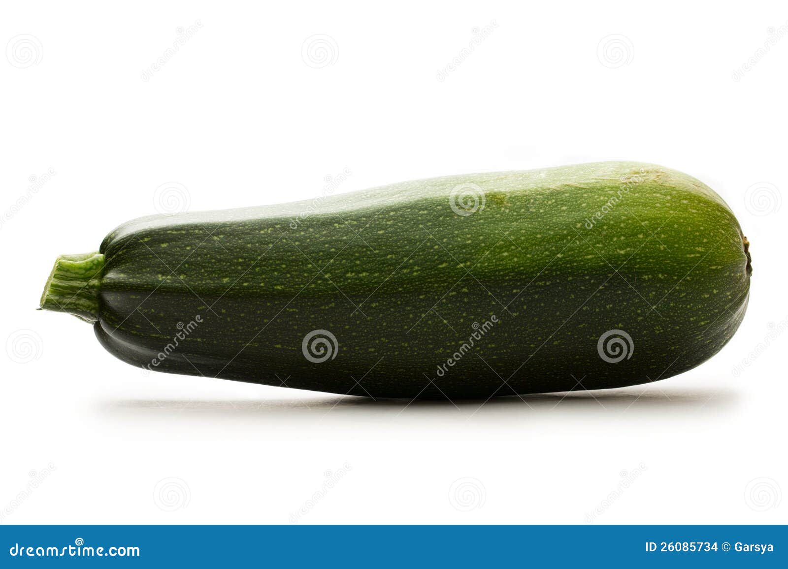 Green marrow stock photo. Image of freshness, vegetarian - 26085734