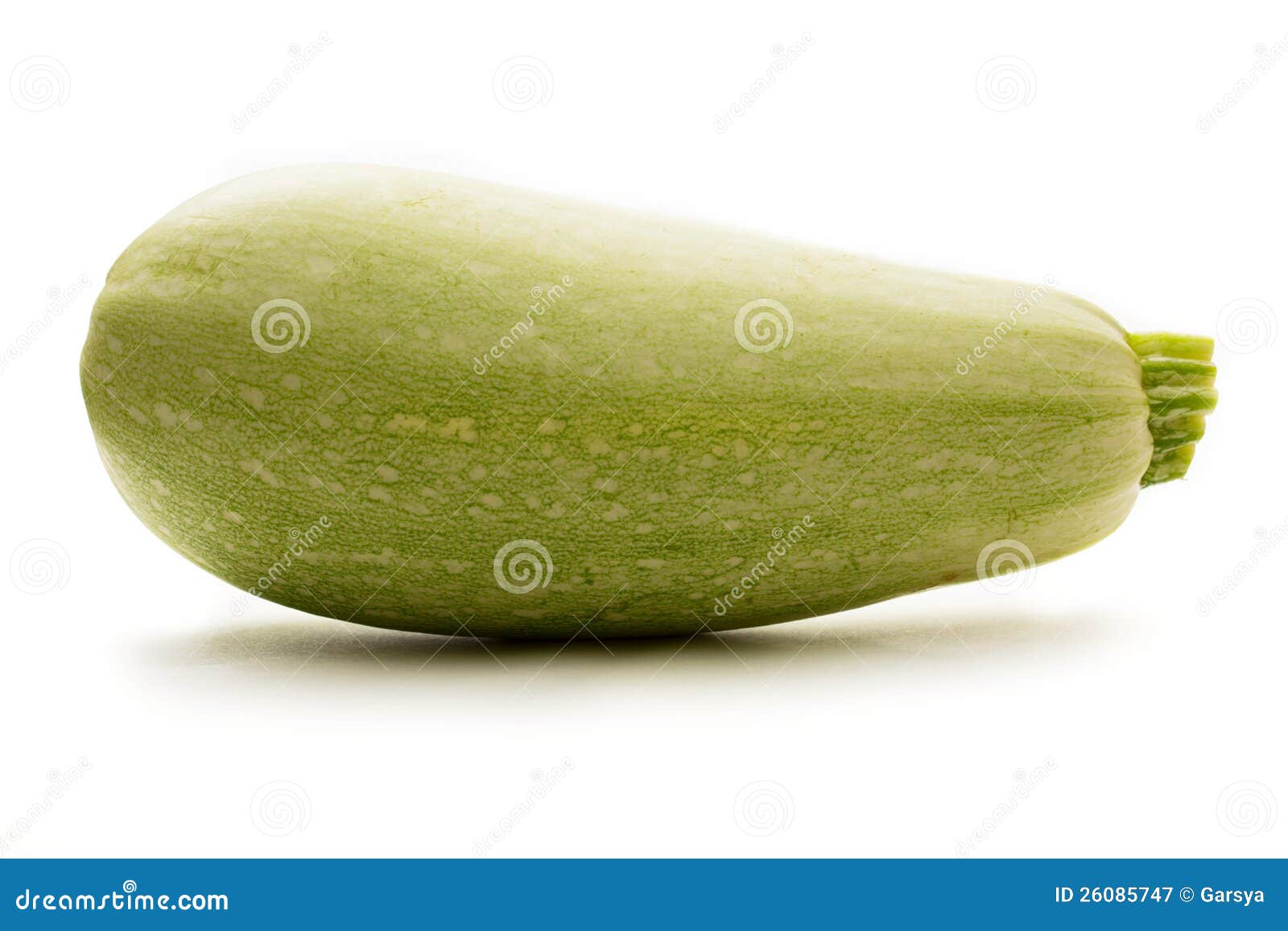 Green marrow stock image. Image of edible, shadow, healthy - 26085747