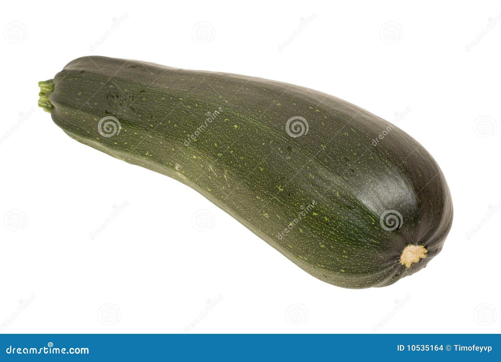 Green Marrow Isolated on White Stock Photo - Image of marrow, child ...