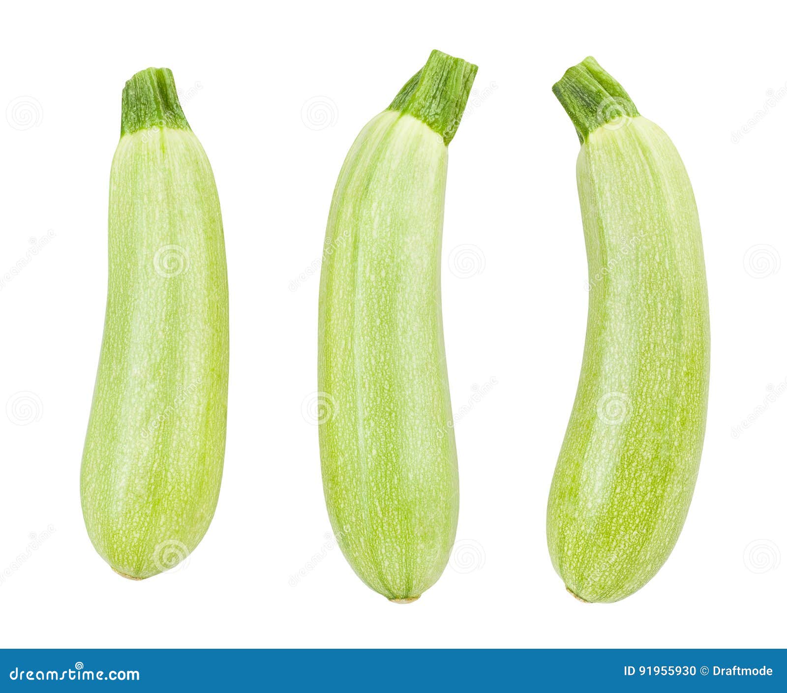 Green marrow stock photo. Image of group, zucchini, gourmet - 91955930