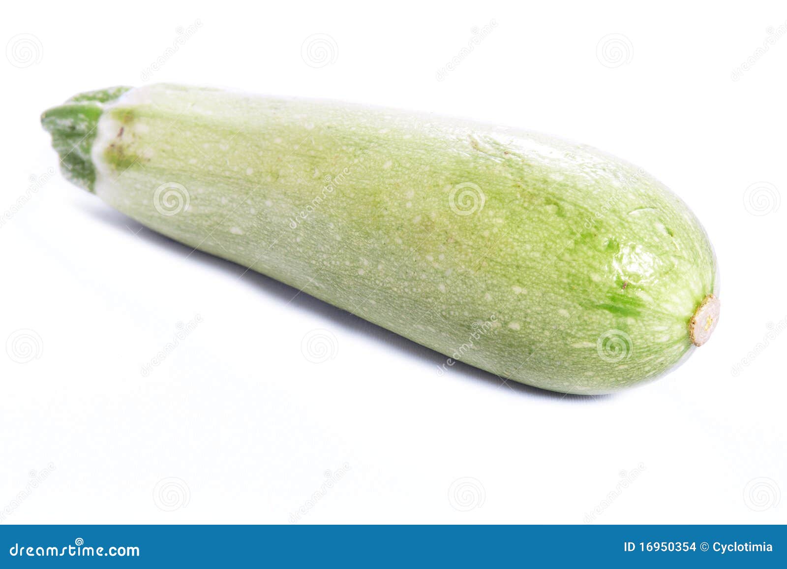 Green marrow squash stock photo. Image of green, mineral - 16950354