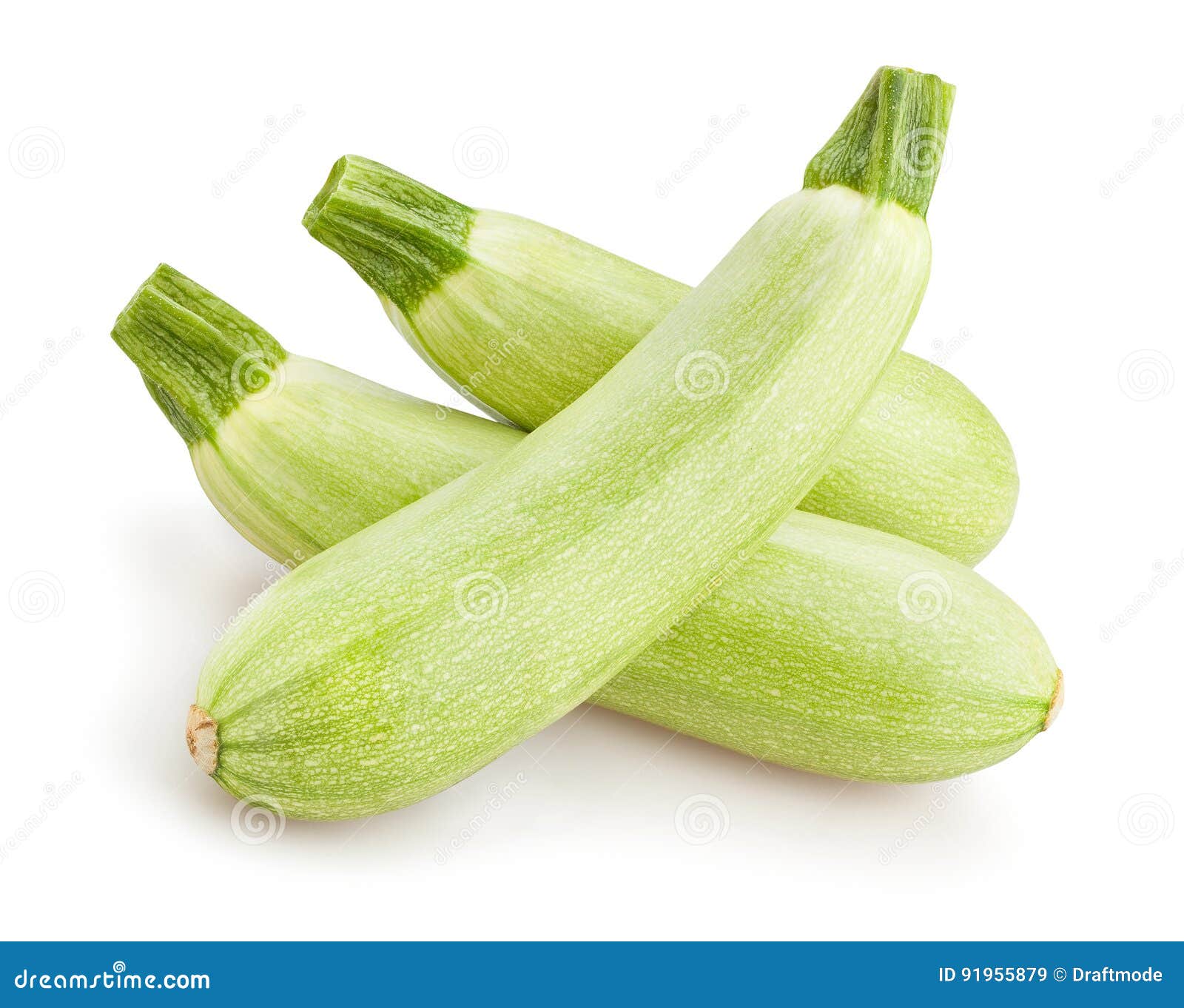Green marrow stock image. Image of marrow, healthy, white - 91955879