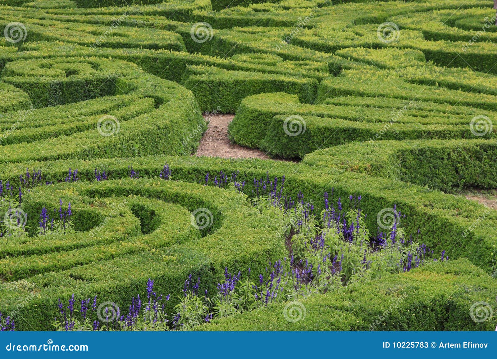 Green maze stock image. Image of bush, maze, nature, formal - 10225783