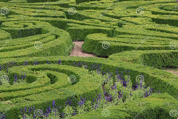 Green maze stock image. Image of bush, maze, nature, formal - 10225783