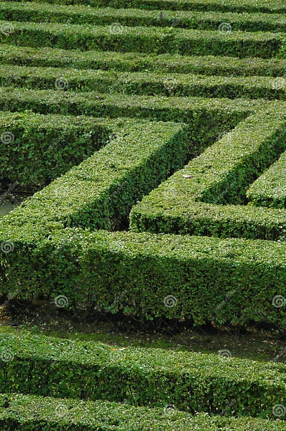 Green maze stock photo. Image of maze, bushes, forever - 7841212