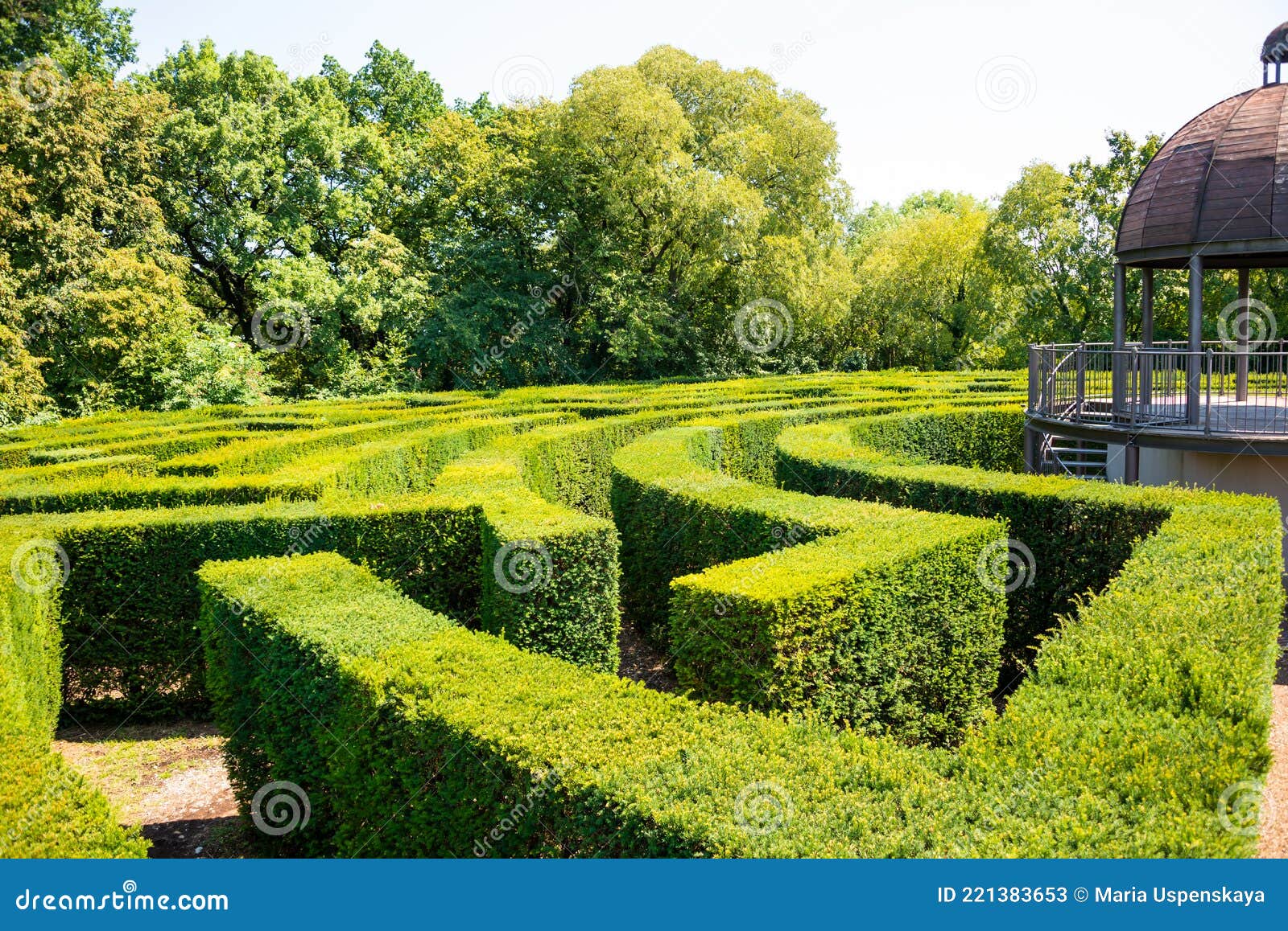 Green Maze Made with Plants in a Summer Park Stock Image - Image of ...