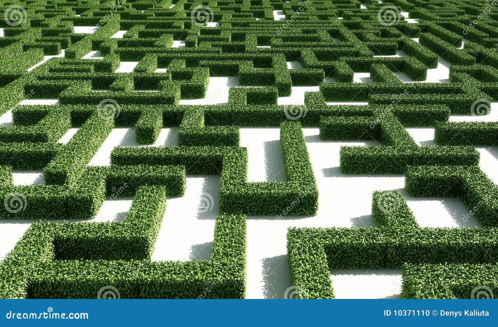 Green maze1 stock illustration. Illustration of game - 10371110