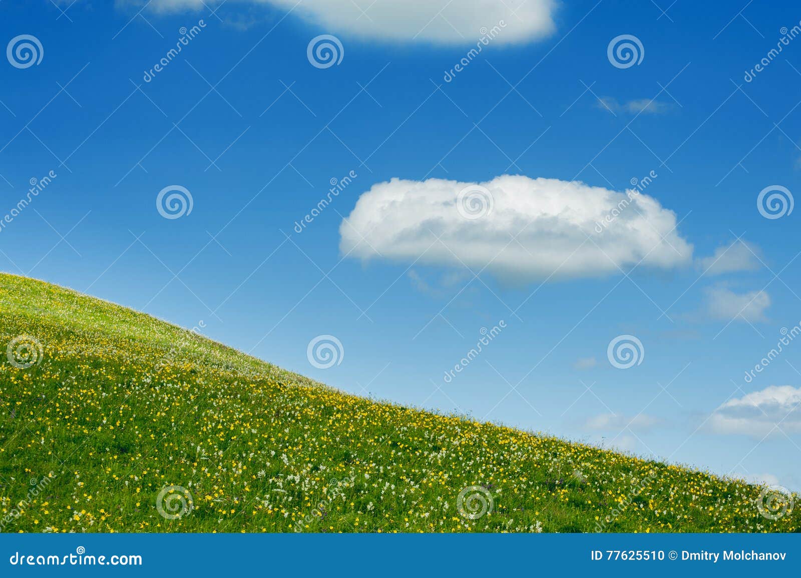 Green Meadow on a Background of the Blue Sky Stock Photo - Image of ...