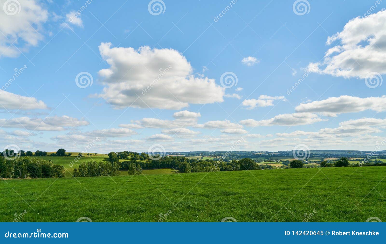 Green Meadow and Blue Sky with White Clouds Stock Image - Image of ...