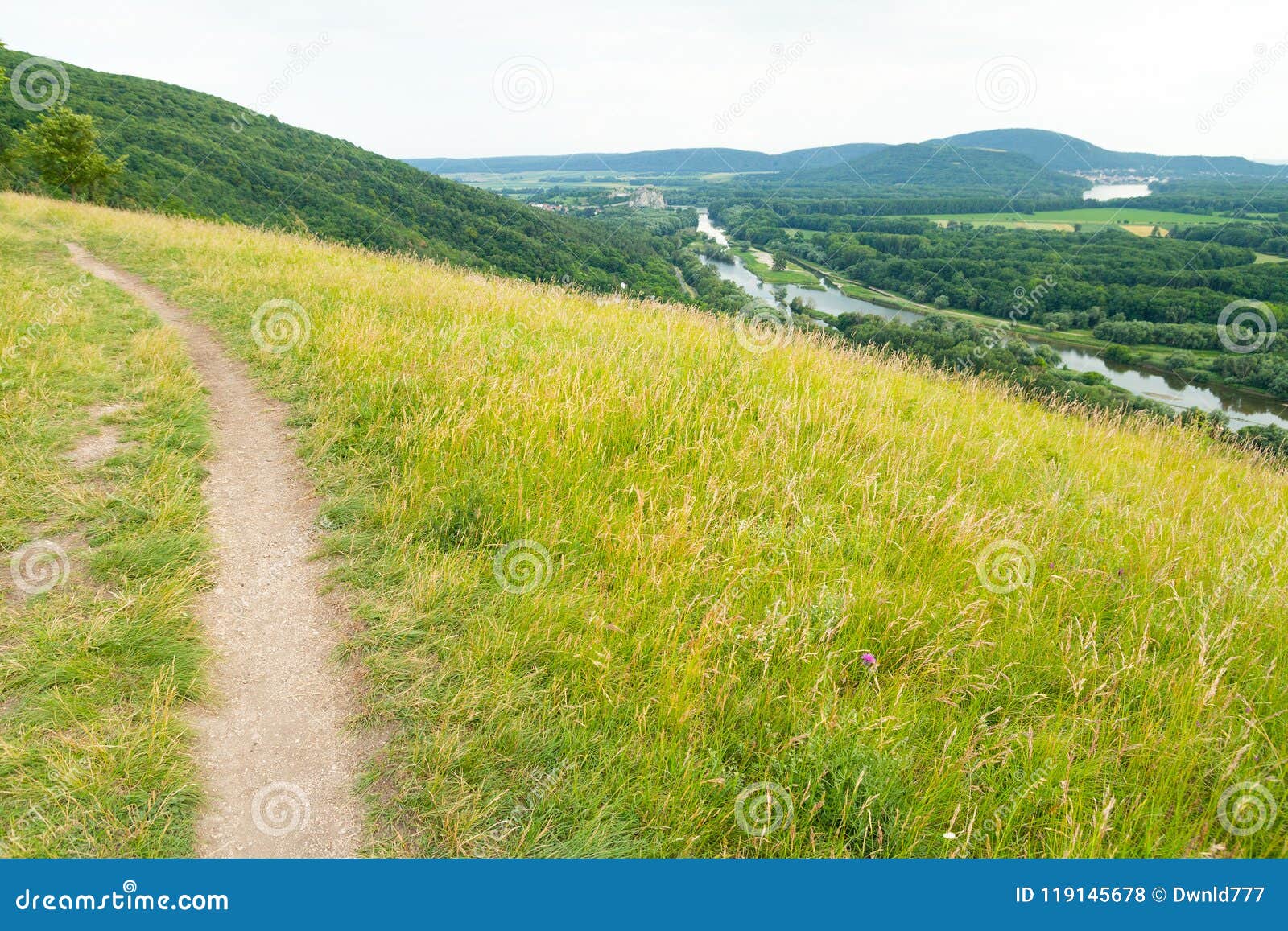 Green Meadow with Dirt Path Stock Photo - Image of bright, spring ...