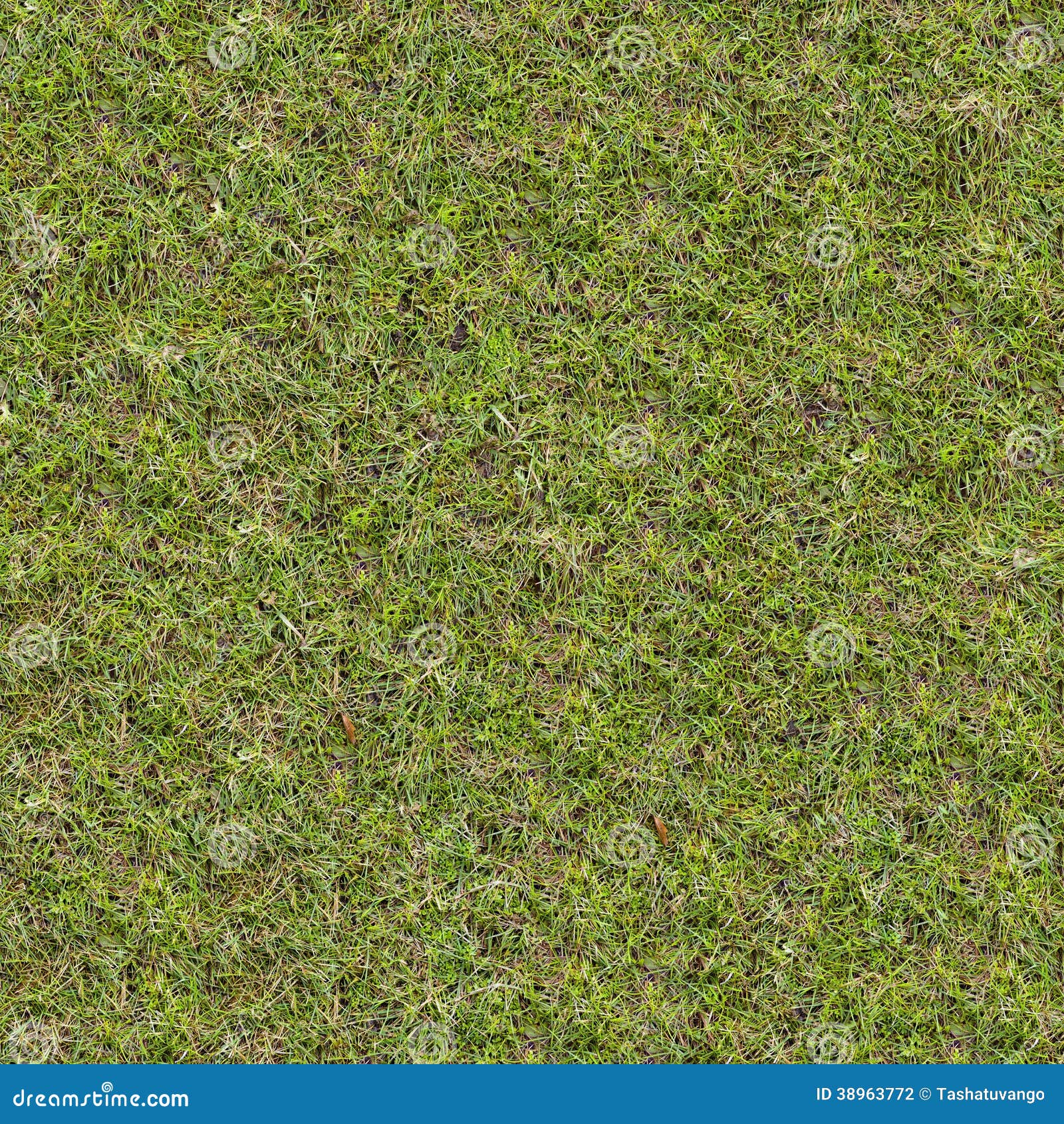 Green Meadow Grass. Seamless Tileable Texture. Stock Photo - Image of ...