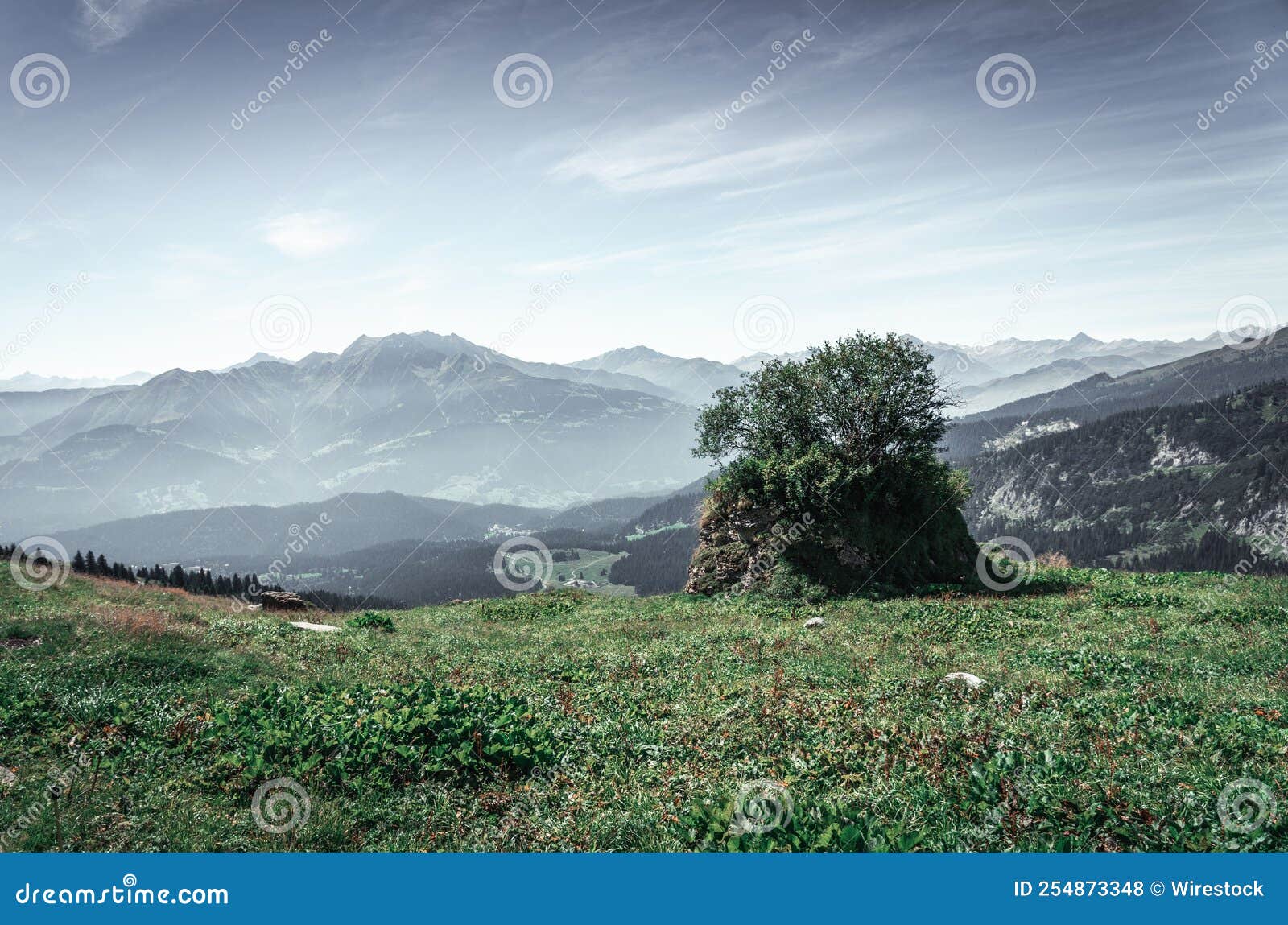 Green Meadow with Misty Mountains in the Background Stock Photo - Image ...