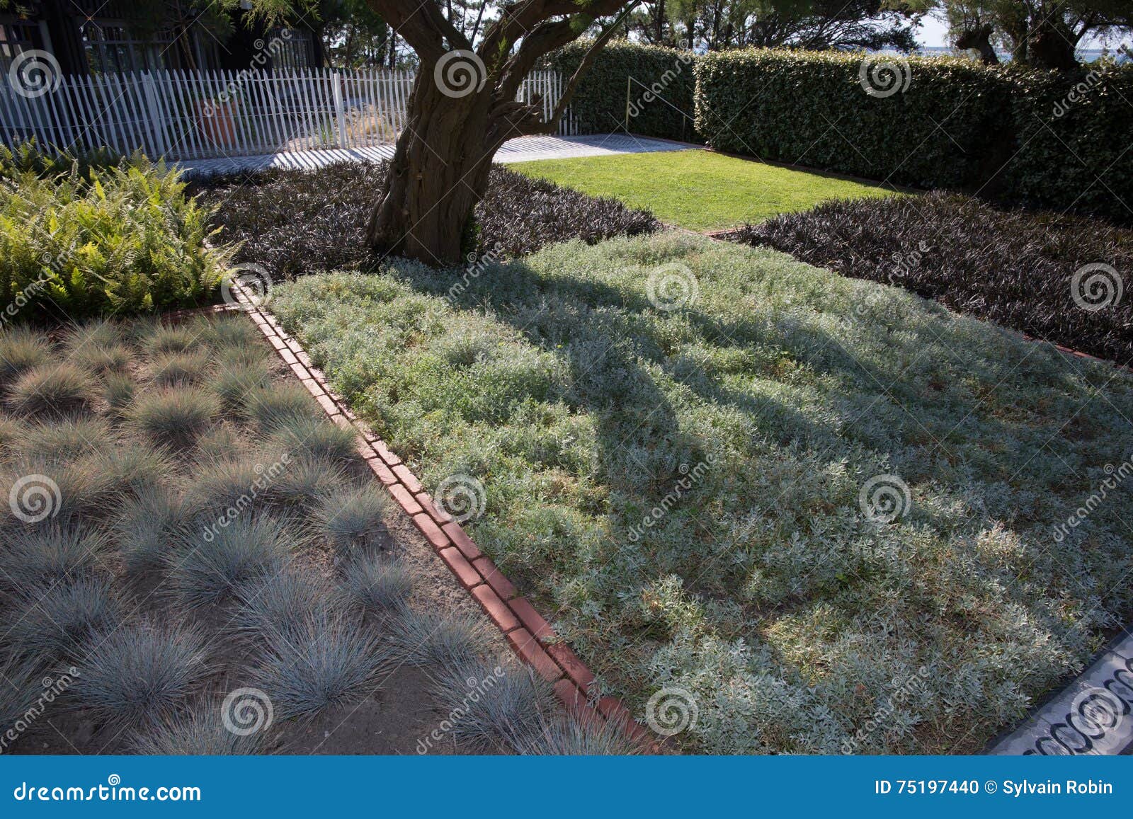A Green Meadow in a Park, Ideal Place for Rest Stock Photo - Image of ...