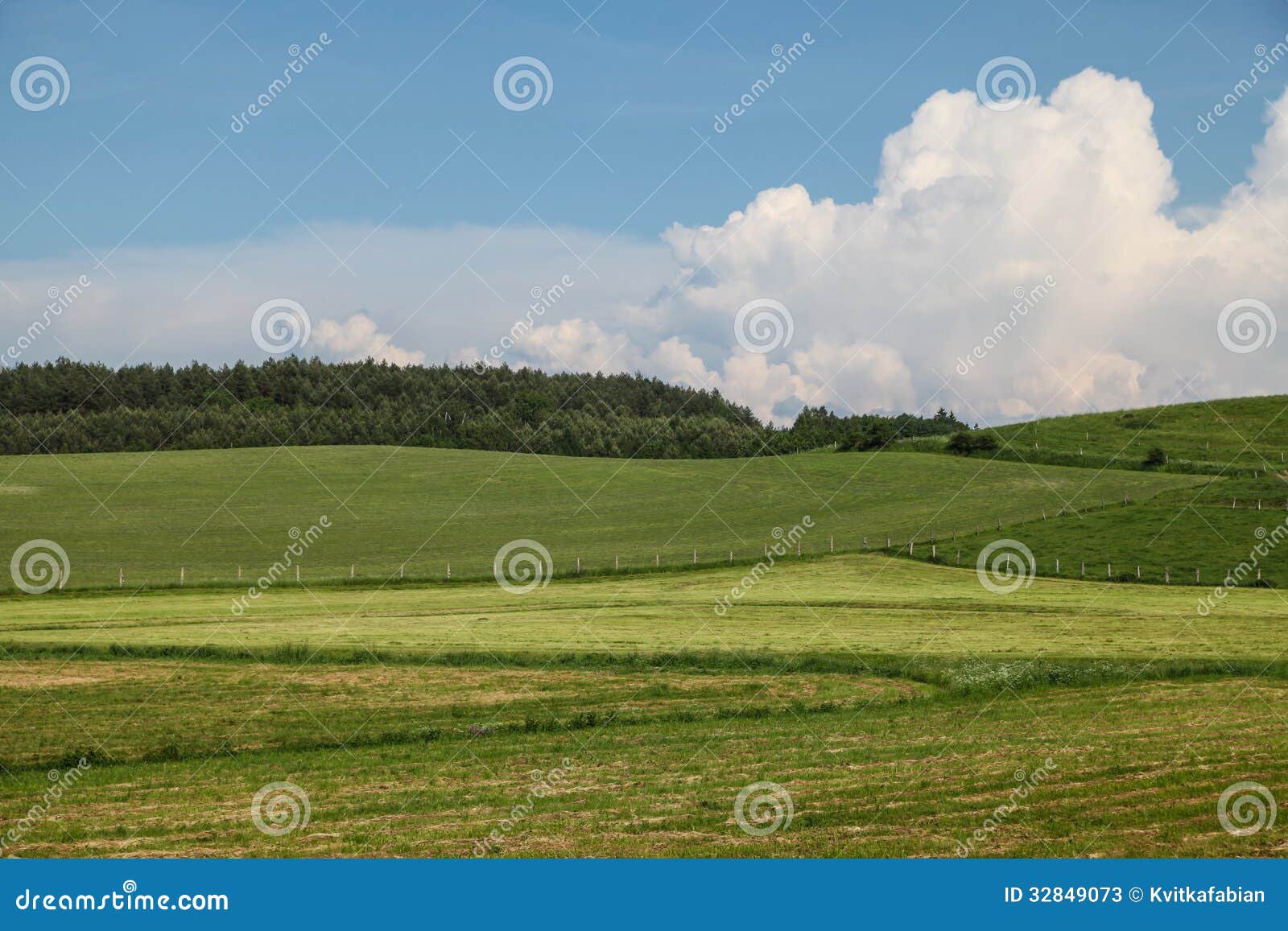 Green meadow in Poland stock image. Image of forest, nature - 32849073