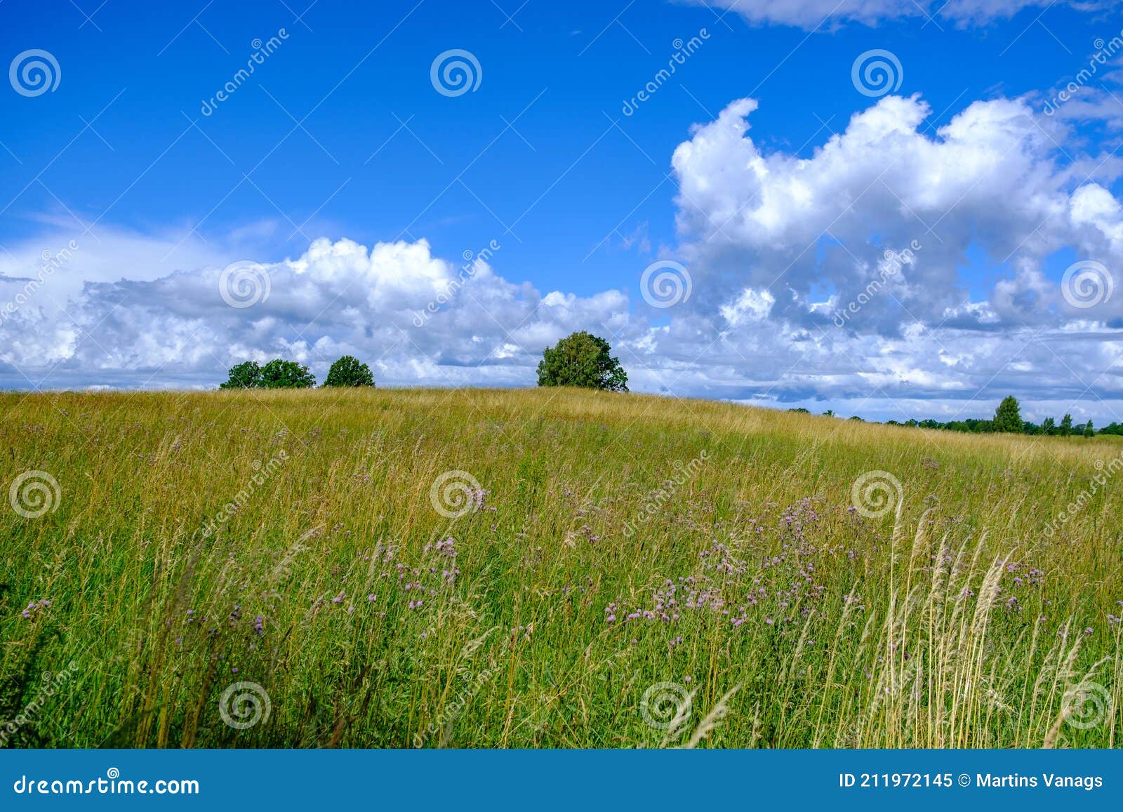 Green Meadow with Storm Clouds Moving on Stock Image - Image of plain ...