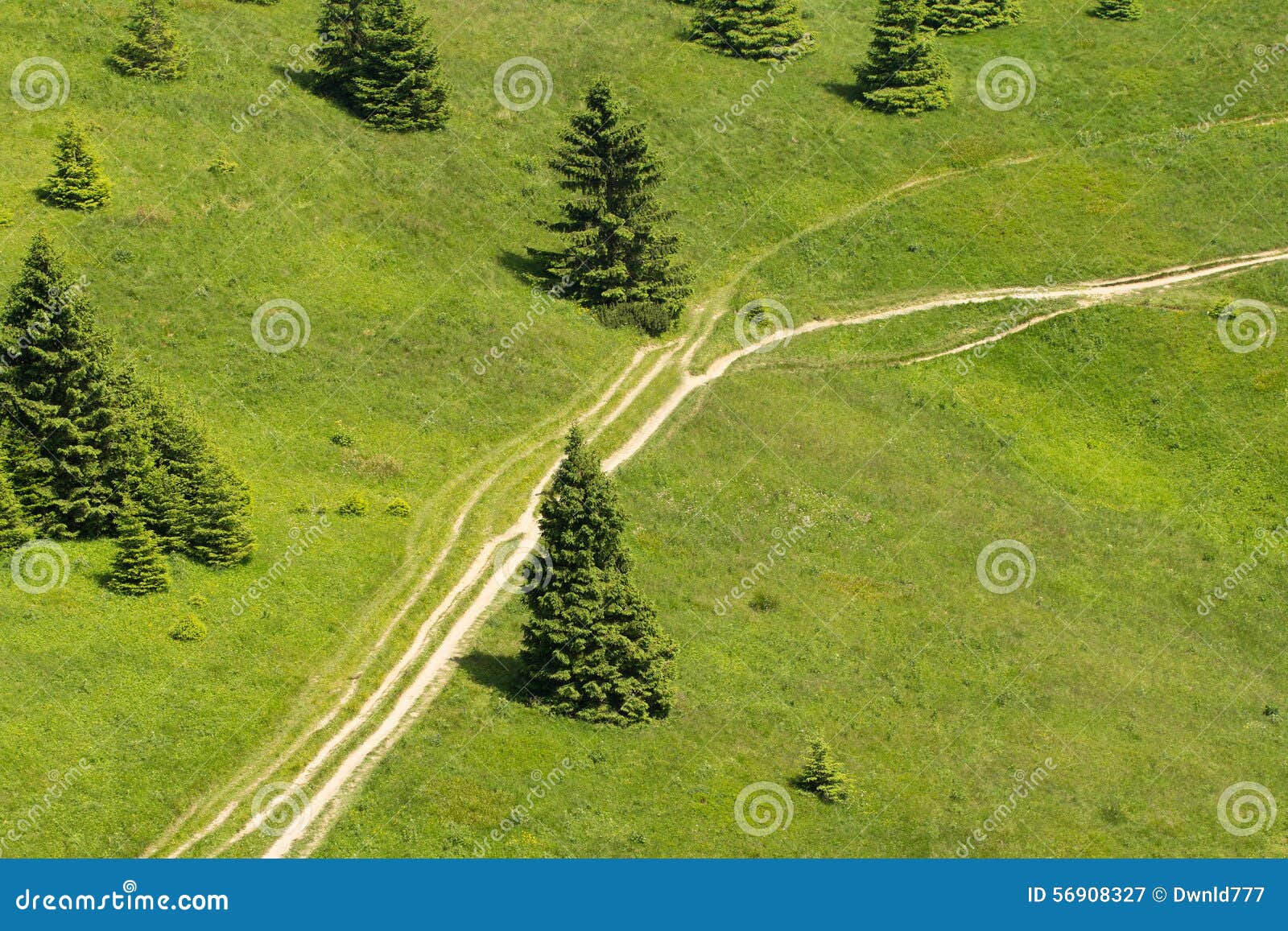 Green Meadow with Trees Bird View Stock Image - Image of aerial, path ...