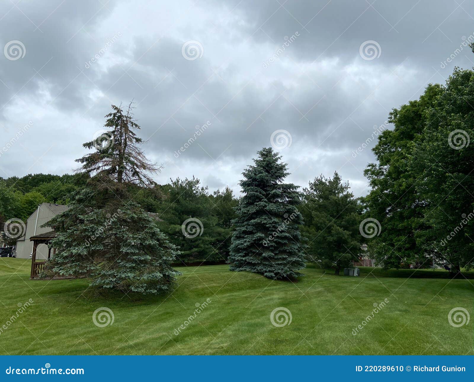 Green Meadow and Trees on a Cloudy Day Stock Photo - Image of spring ...