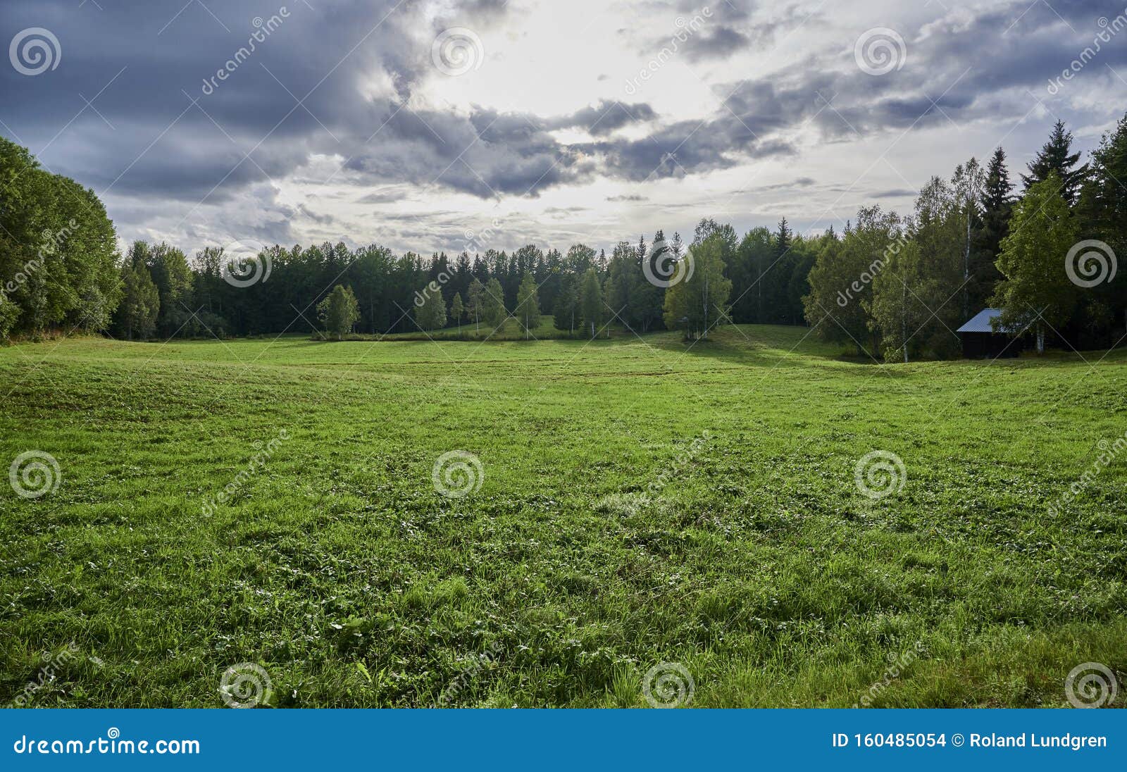 Green Meadows with Surrounding Forest Create a Small Idyll in Dalarna ...