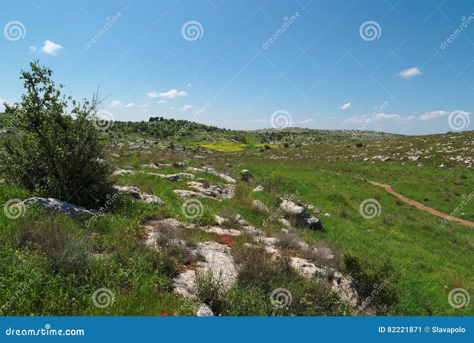 Green Mediterranean Valley among Hills in Spring Stock Image - Image of ...