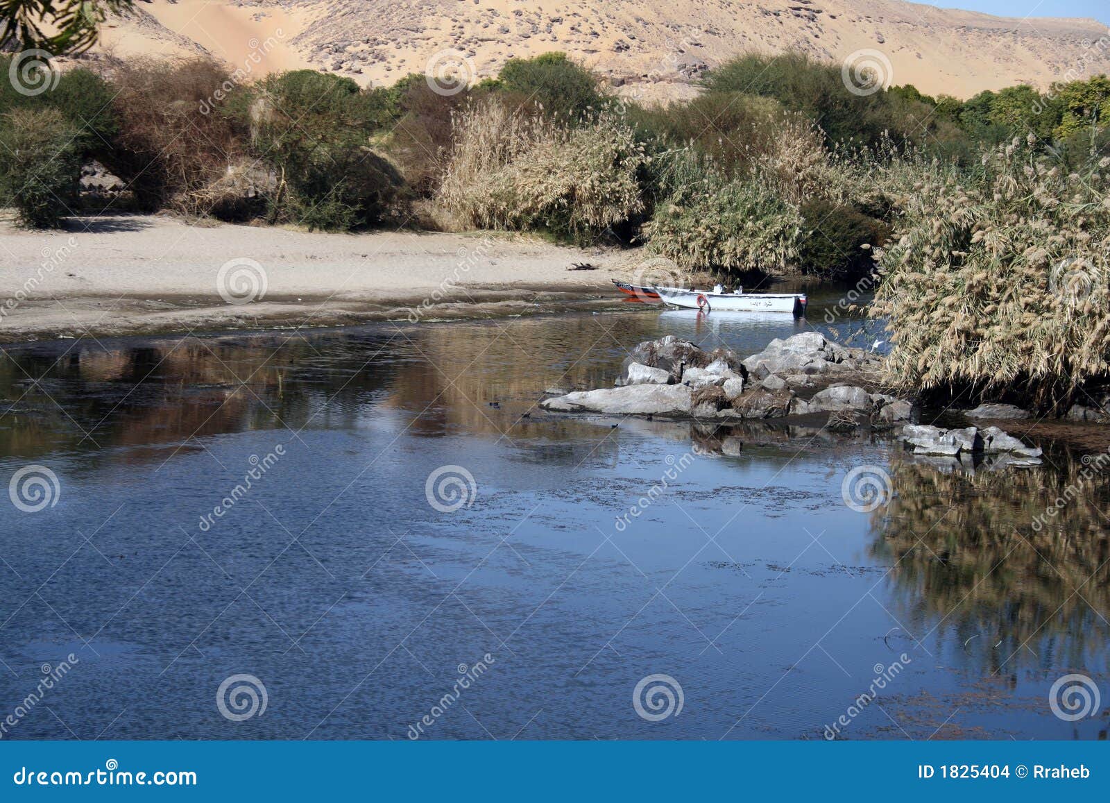 Green Meets Desert - Aswan (Upper Egypt) Picture. Image: 1825404