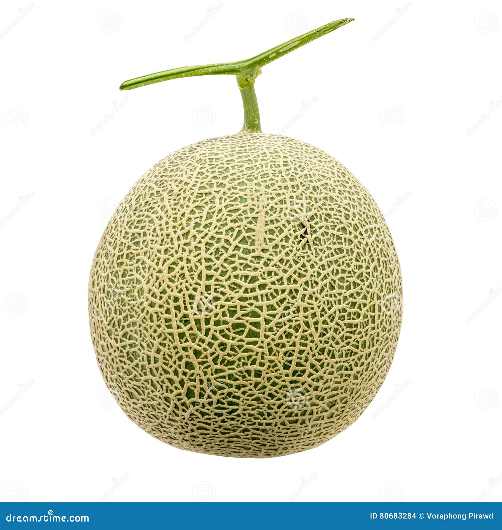 Green melon fruit stock photo. Image of background, orange - 80683284