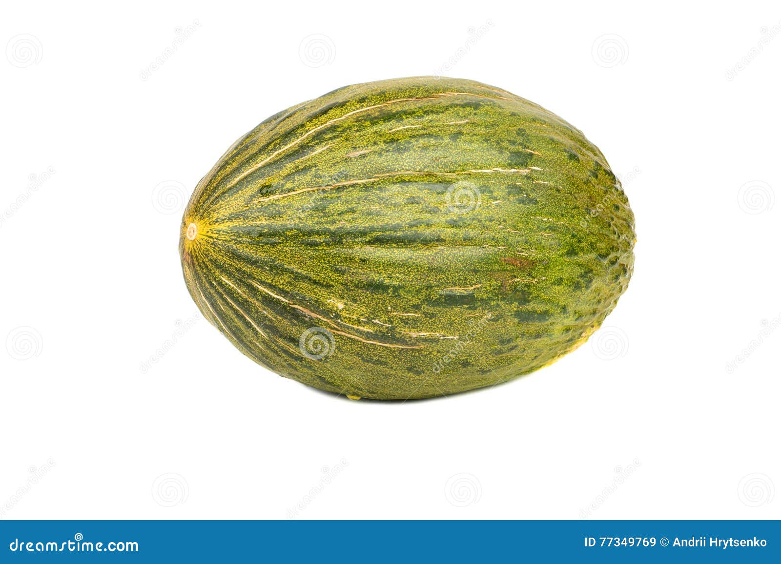 Green melon isolate stock image. Image of organic, melona - 77349769