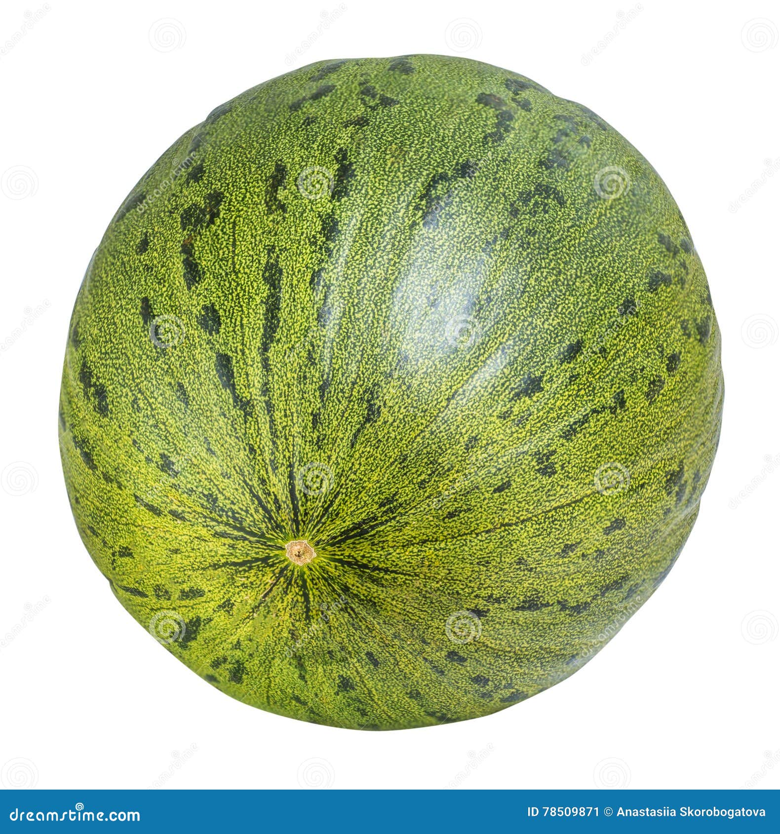Green Melon Isolated on White Background with Clipping Path Stock Image ...