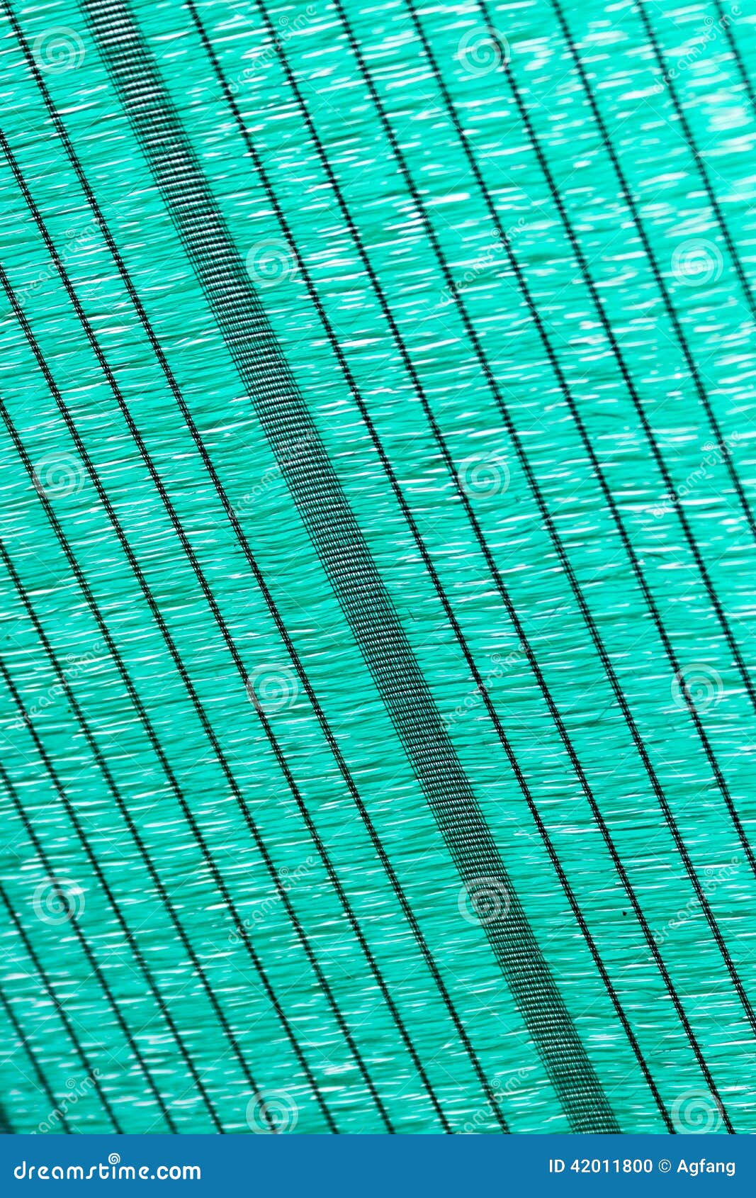 Green mesh stock photo. Image of regular, netting, agriculture - 42011800