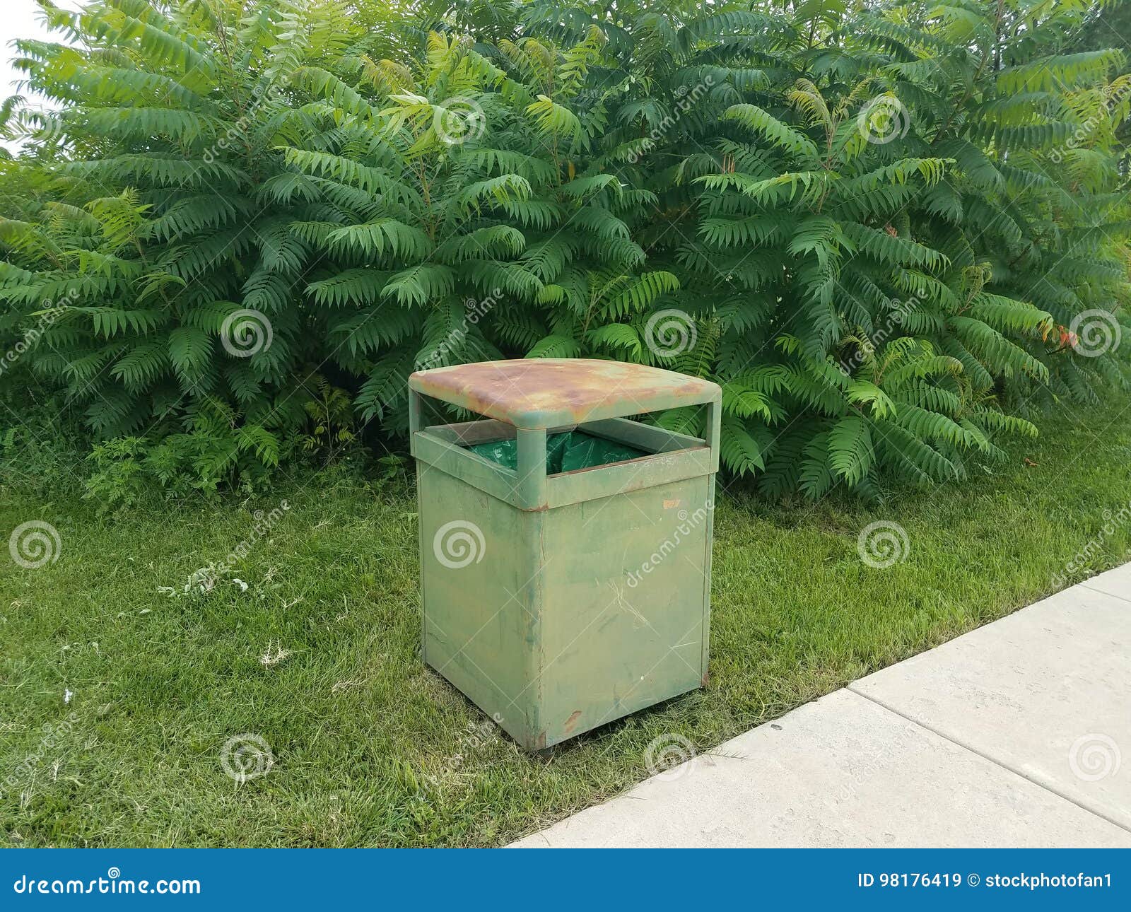 Green Metal Garbage Can Near Tree and Sidewalk Stock Image - Image of ...