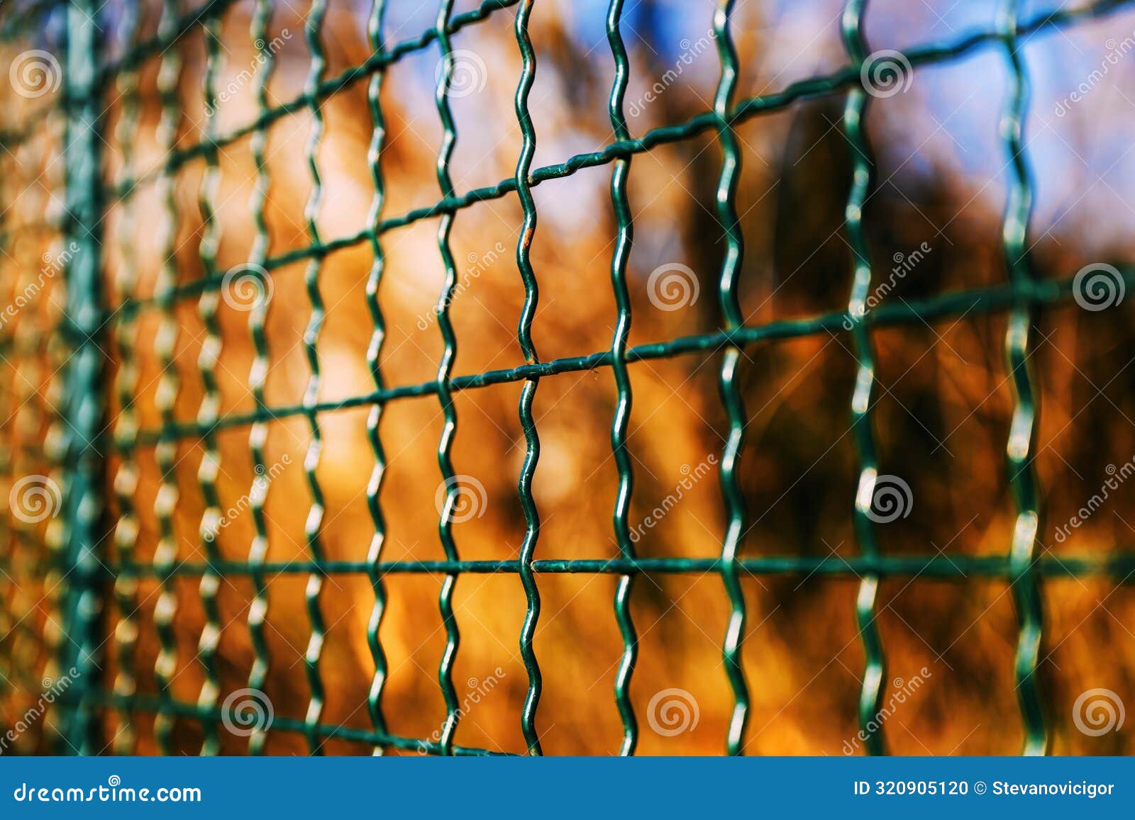 Green Metal Grid Fencing Pattern Stock Photo - Image of selective, wire ...
