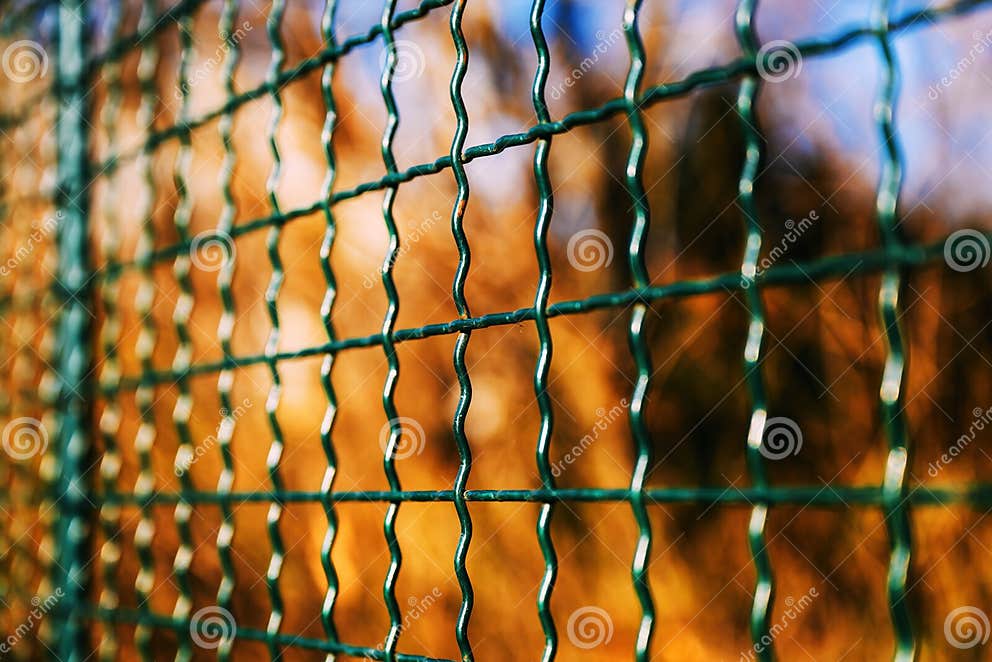 Green Metal Grid Fencing Pattern Stock Photo - Image of selective, wire ...